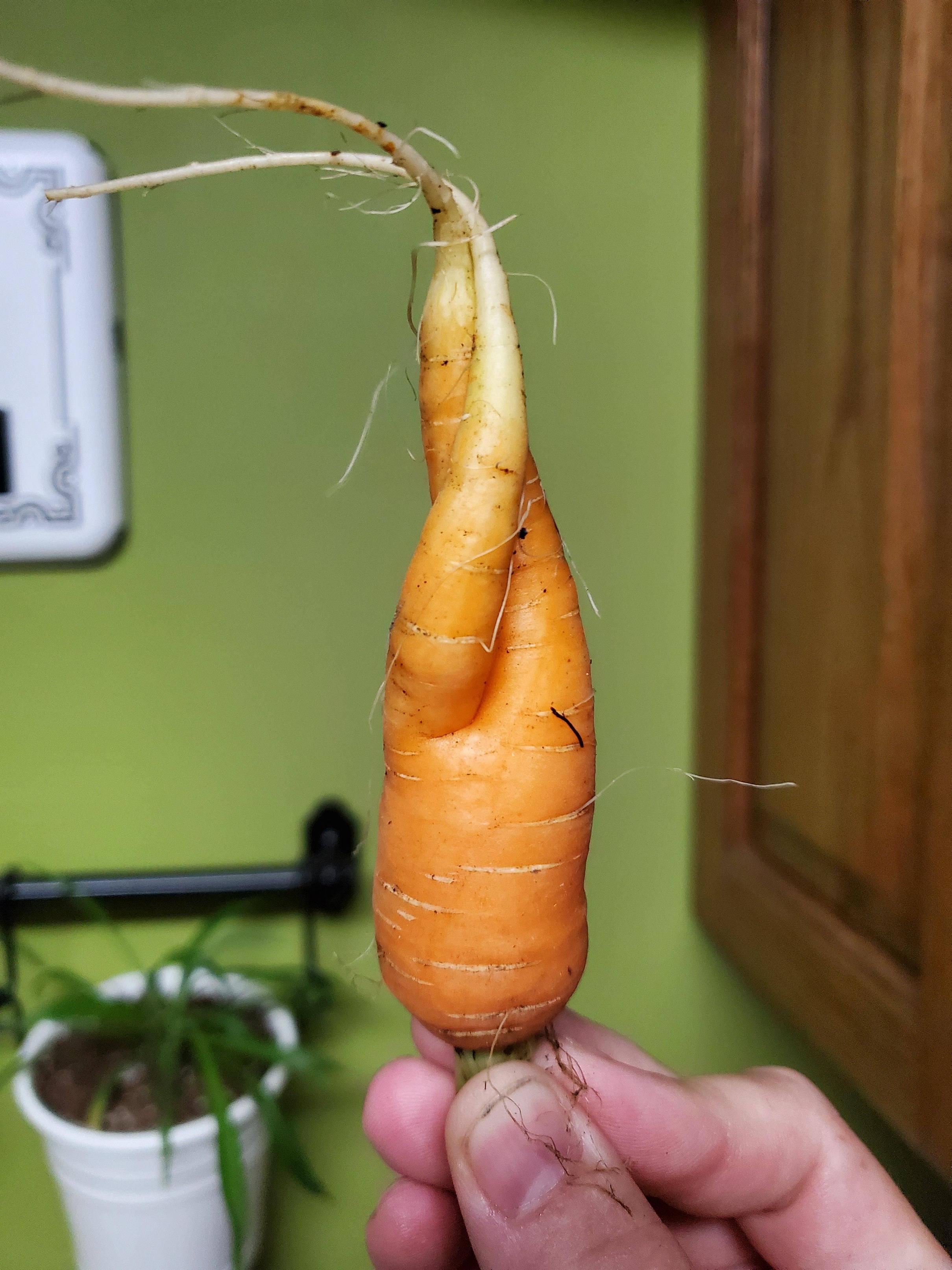 Make us whole, Doc. | Scrolller