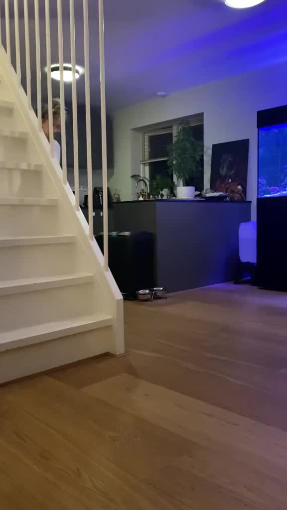 Make way for his Royal Highness... | Scrolller