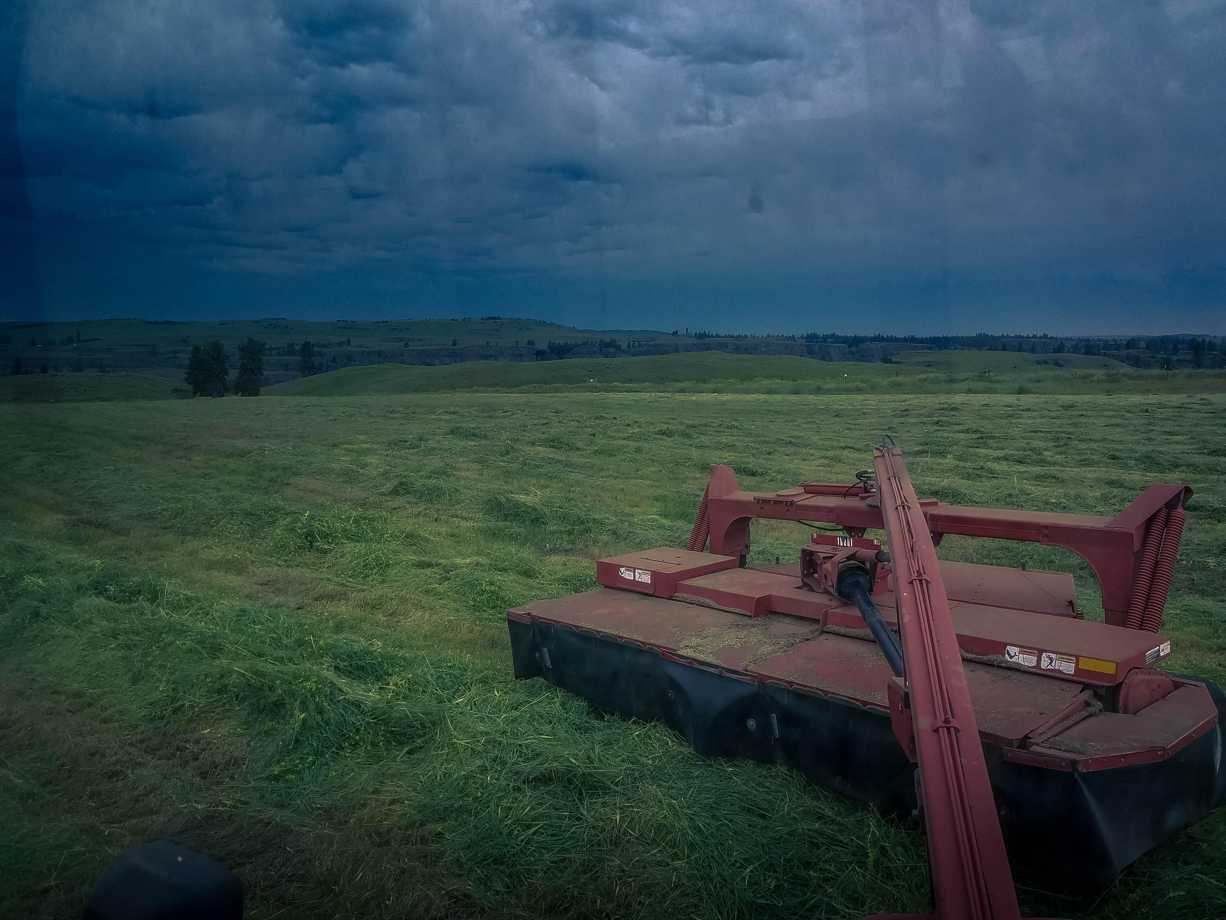 Making it rain | Scrolller