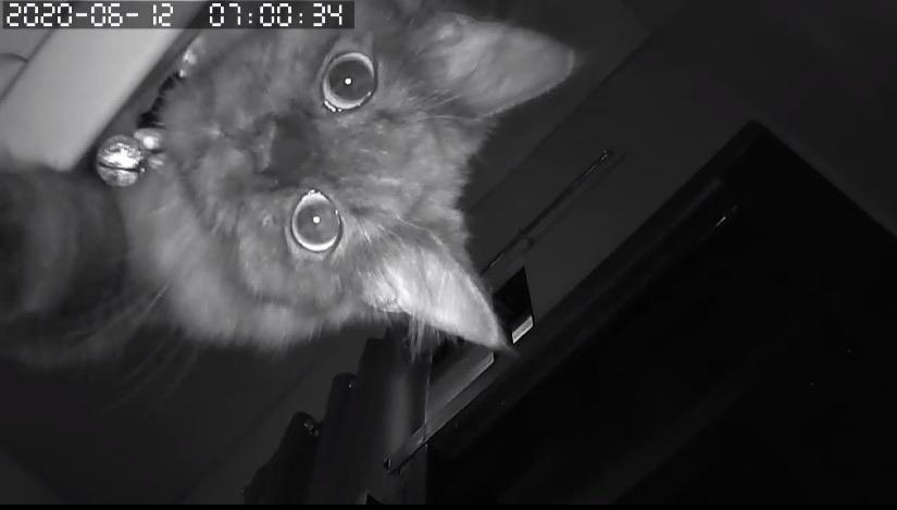 mako vs the cctv | Scrolller