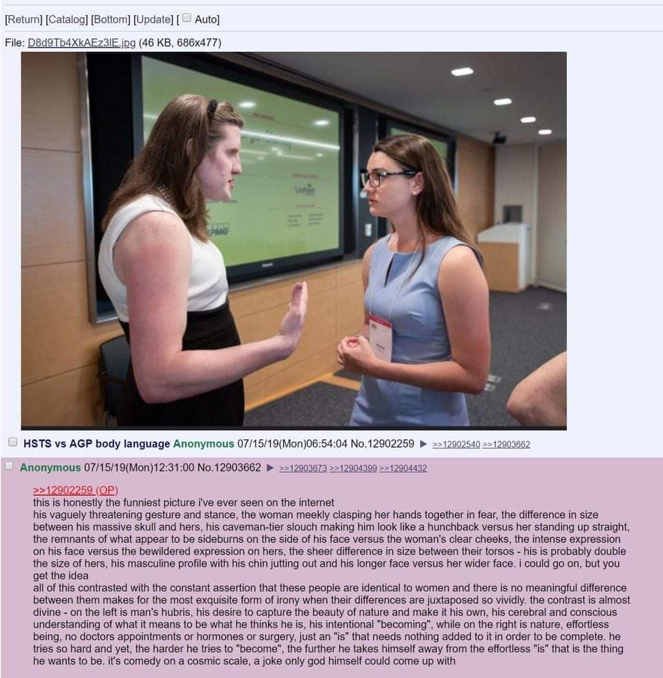 Male pattern aggression | Scrolller