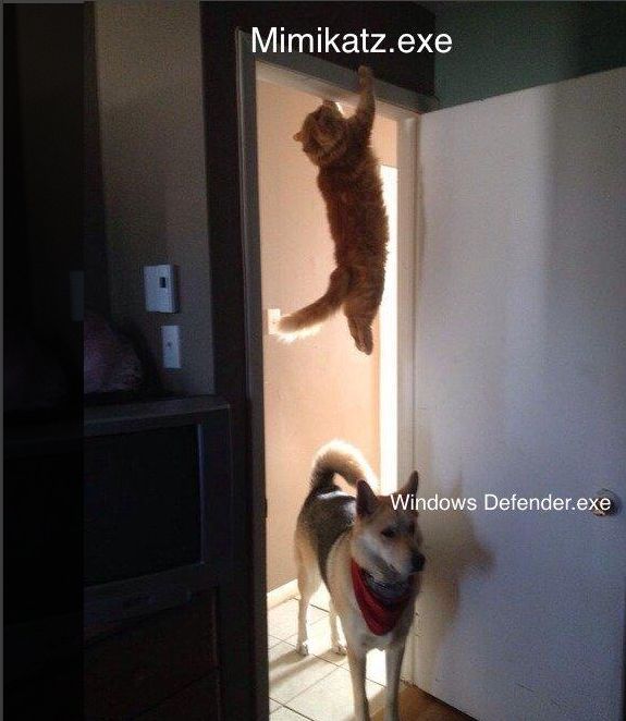 Malware > Free AV | Scrolller