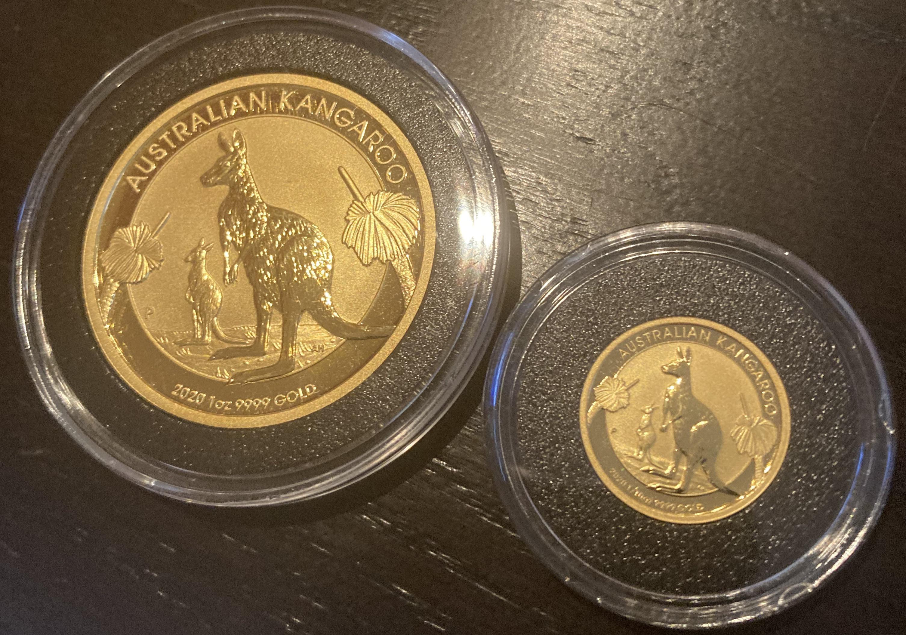 Mama Kangaroo & Joey | Scrolller