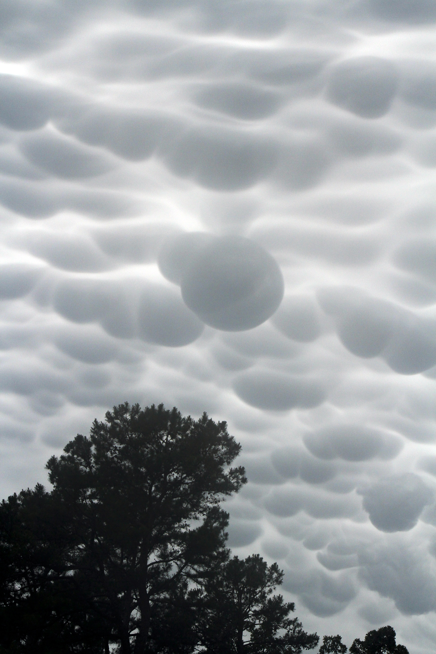 Mammatus | Scrolller