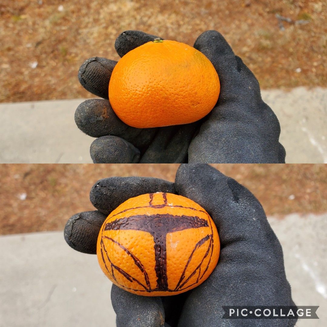 Mandarin orange. Orange mandalorin | Scrolller