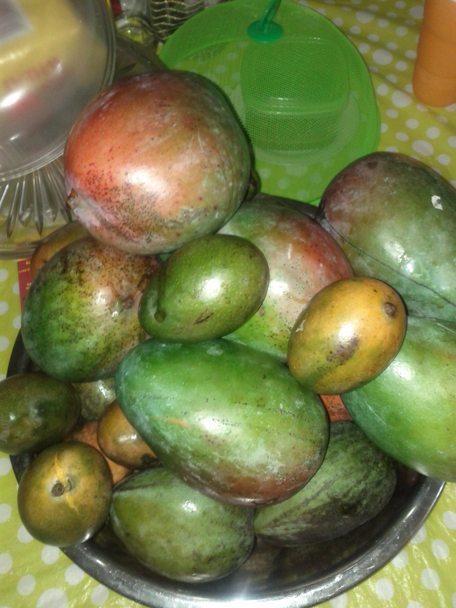 Mango time! | Scrolller