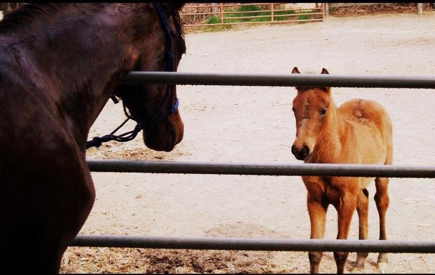 Marisa had a cute little visitor while she was drying off from her bath. | Scrolller