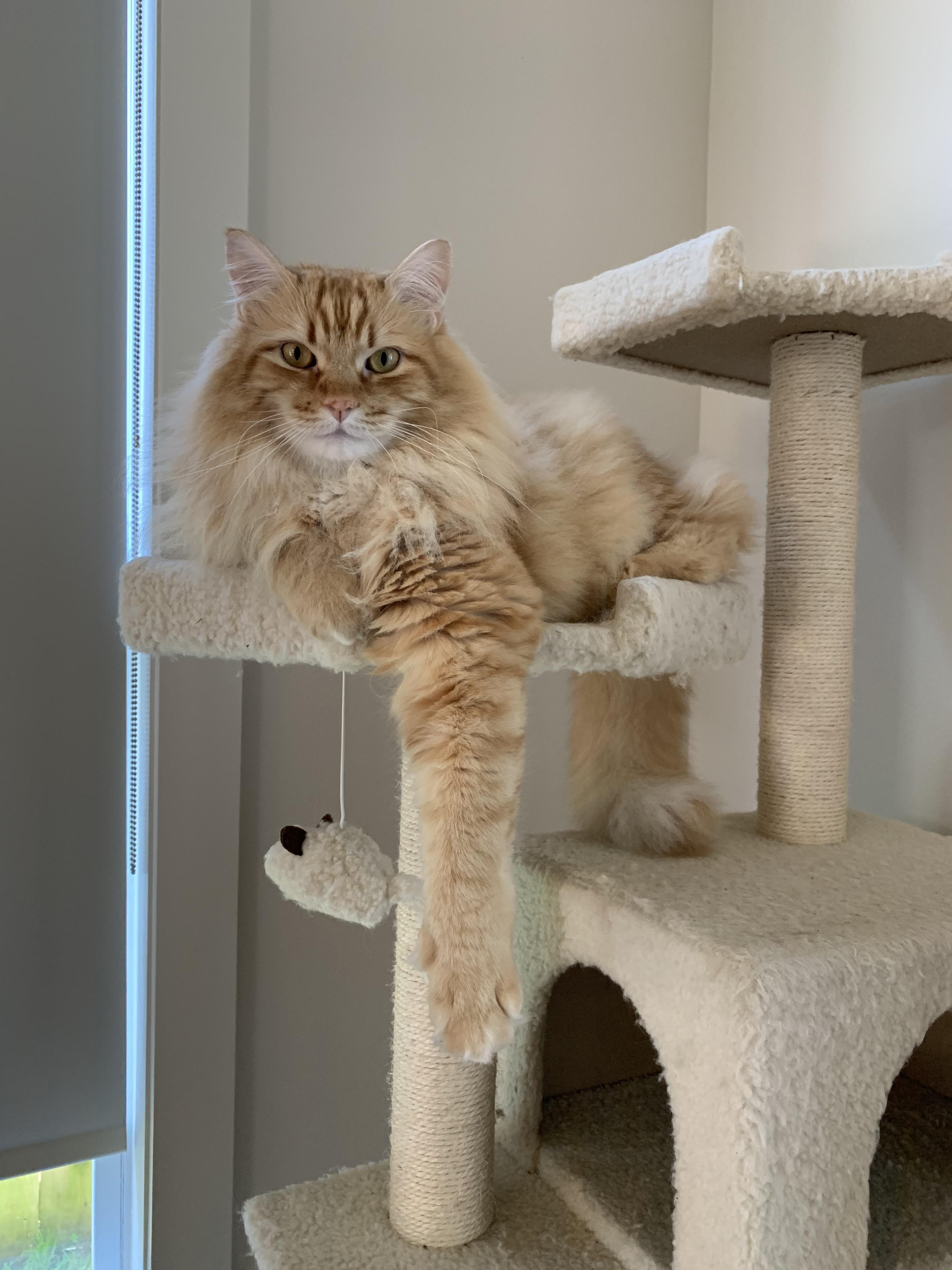 Marty looking regal | Scrolller