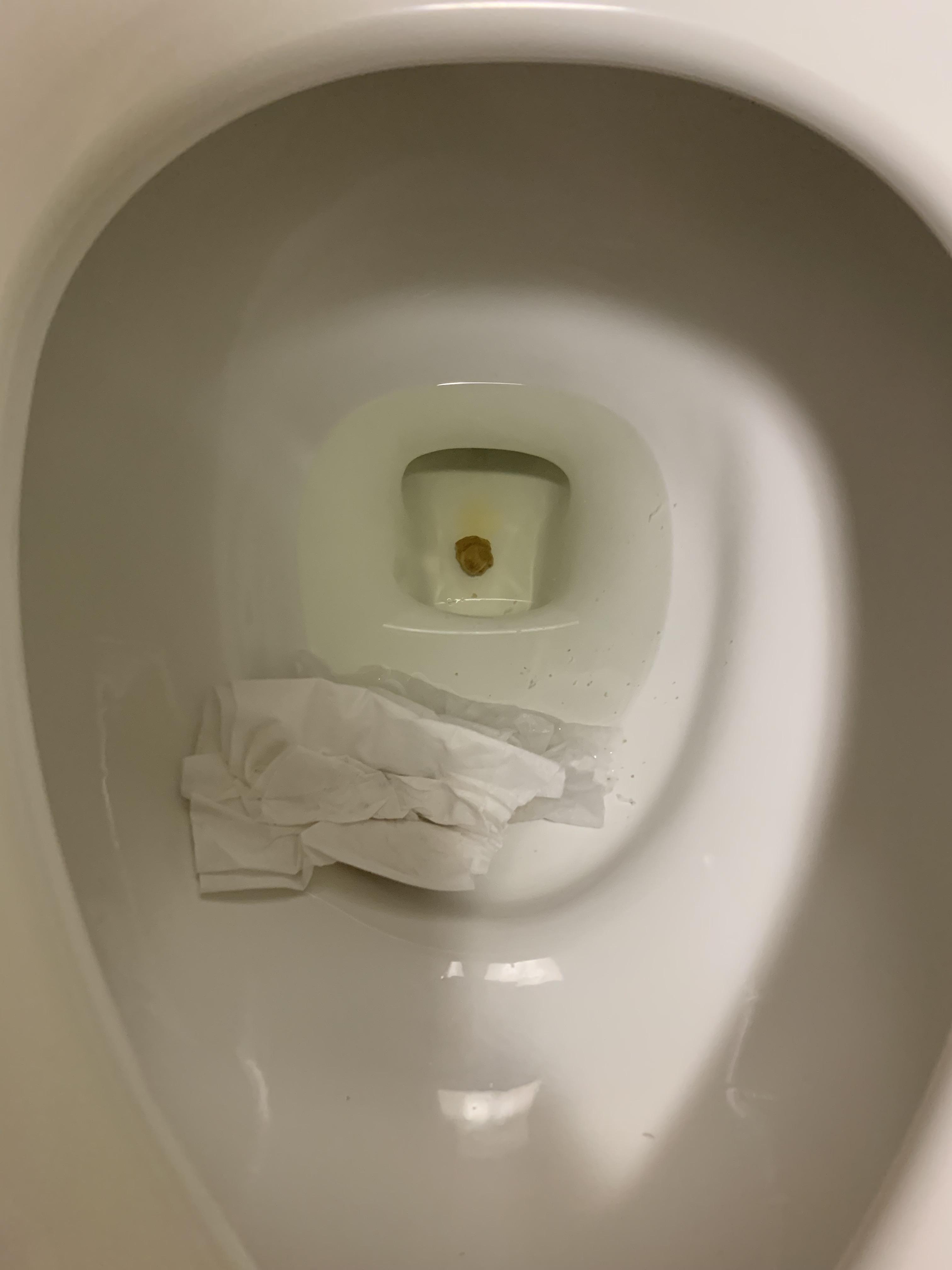 Massive hotel poo | Scrolller