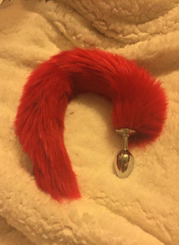 Master bought me my first tail...so soft! | Scrolller