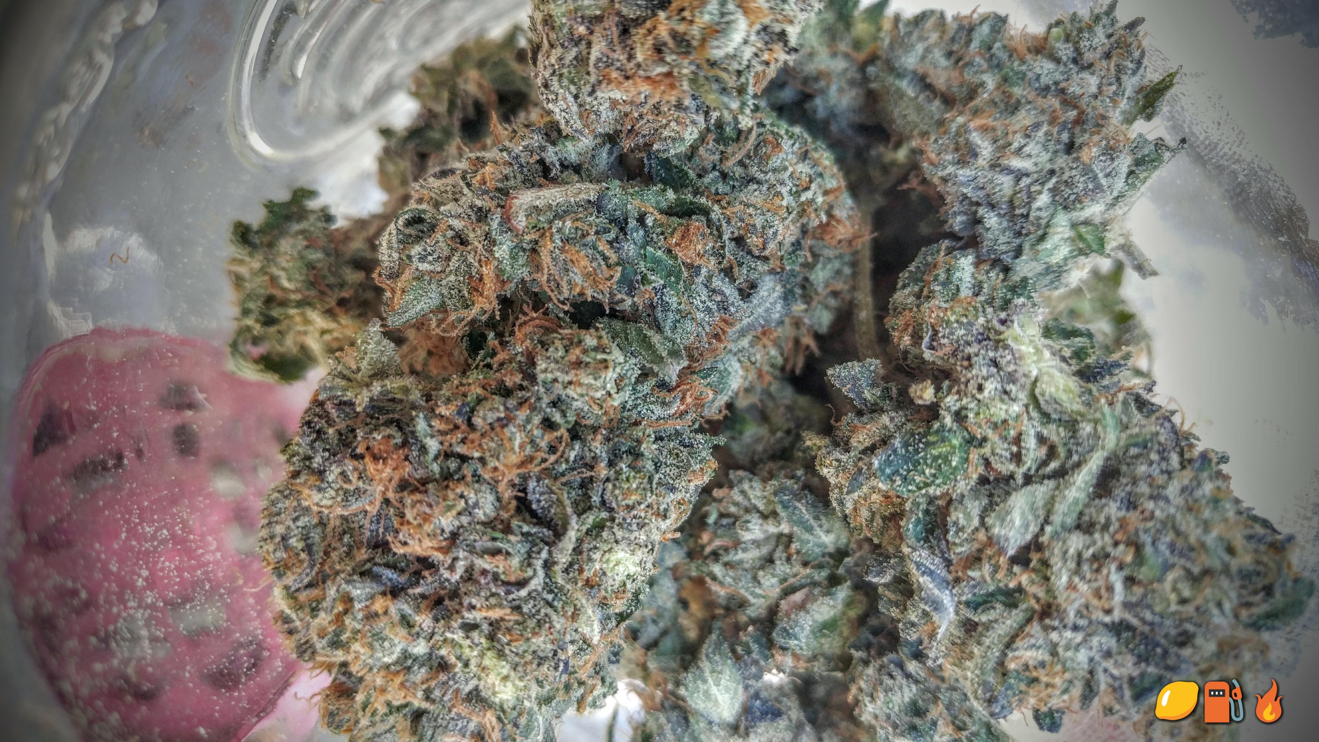 Master Bubba | Scrolller