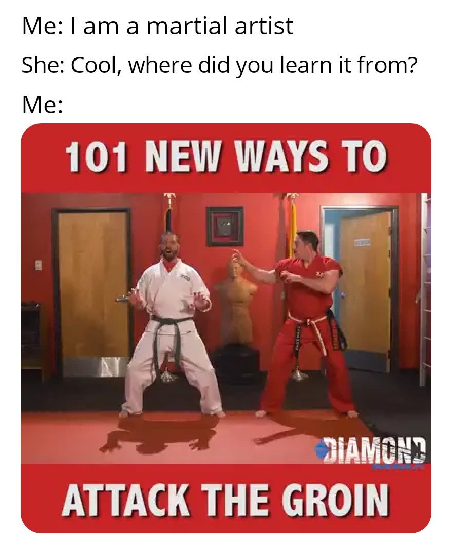 Master ken is the master of martial arts | Scrolller