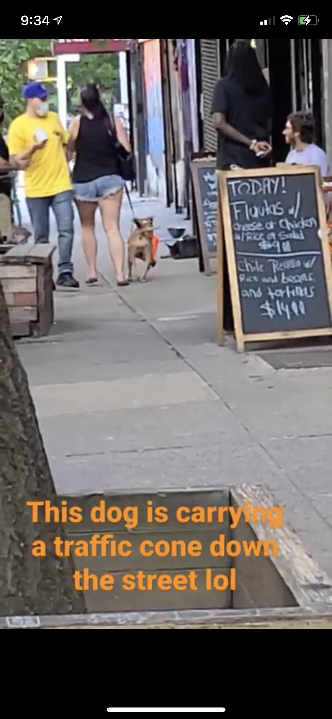 Master thief in the making | Scrolller