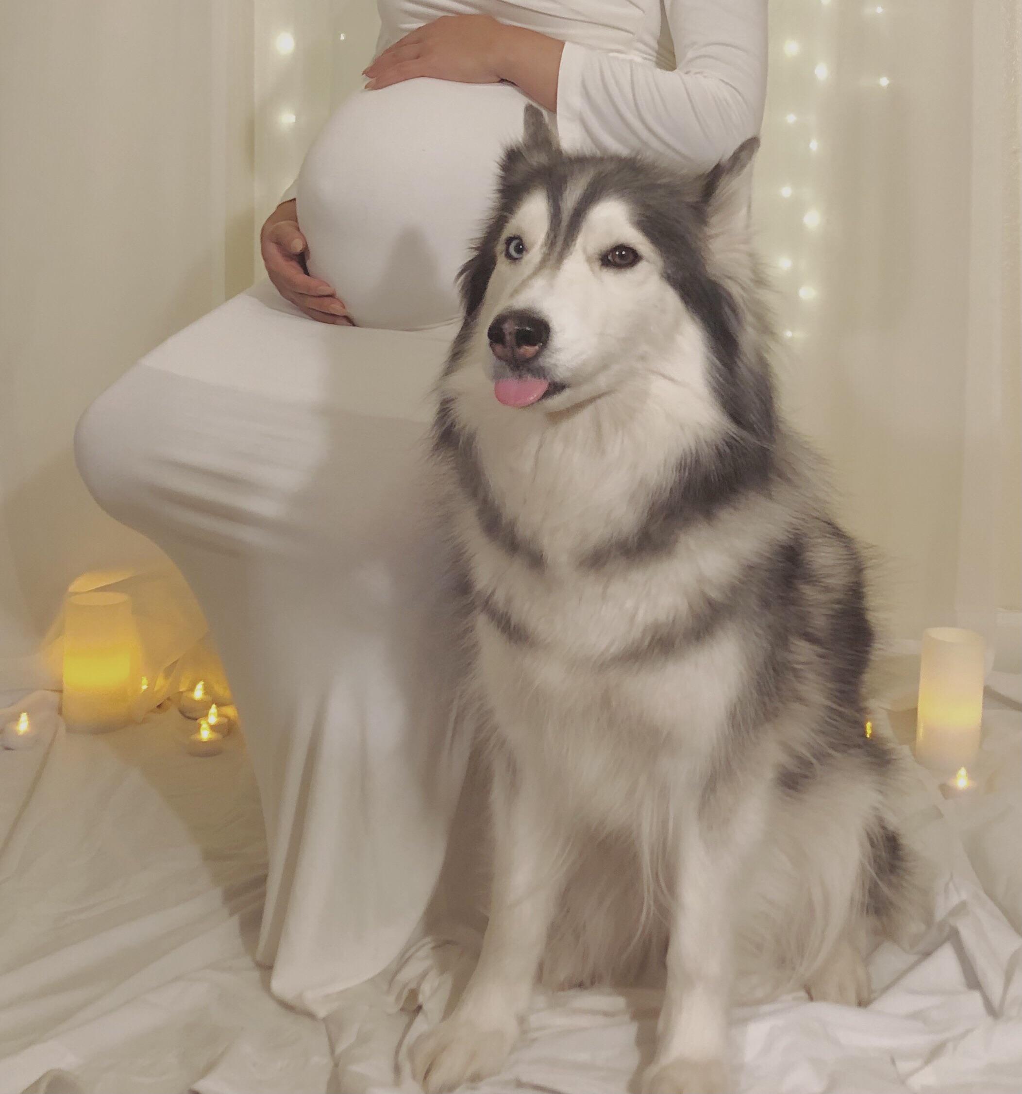 Maternity shoot blop, She jumped in my photoshoot and gave me this awesome blop | Scrolller