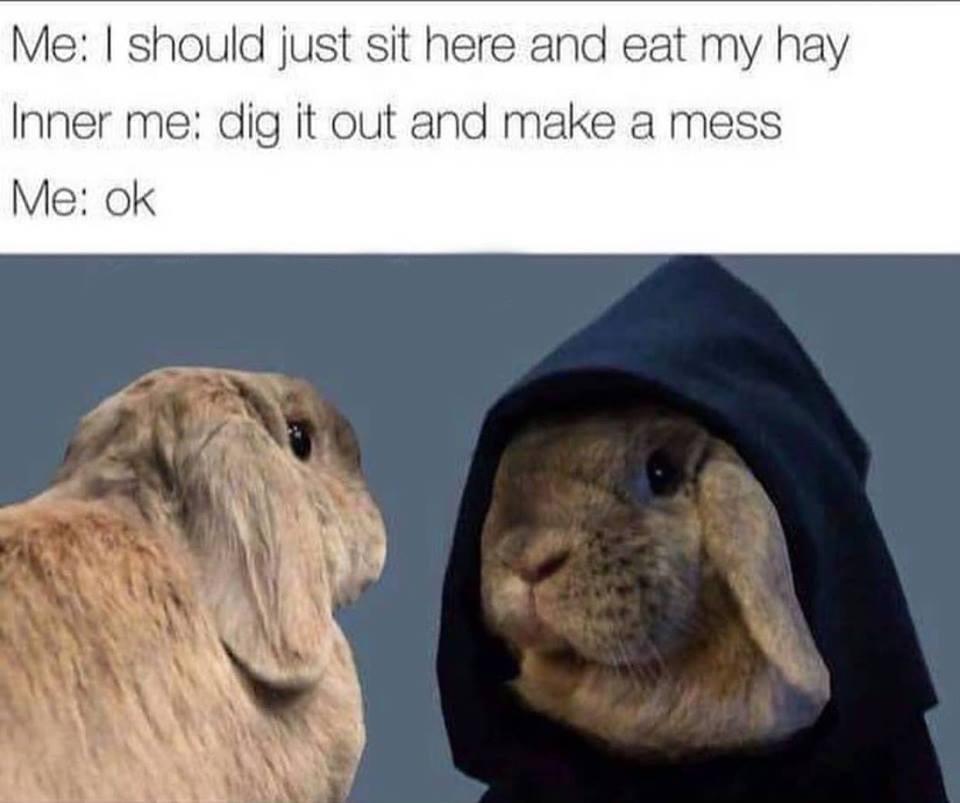 May be an old meme format but it’s so true | Scrolller