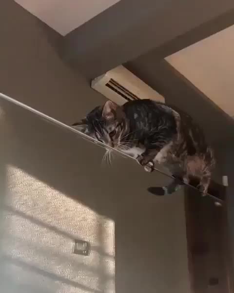 maybe maybe maybe | Scrolller