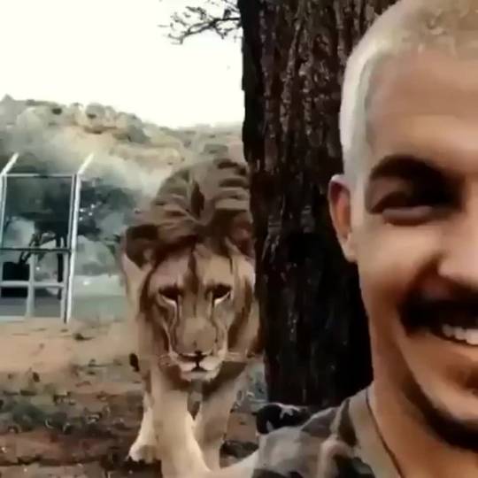 maybe maybe maybe | Scrolller