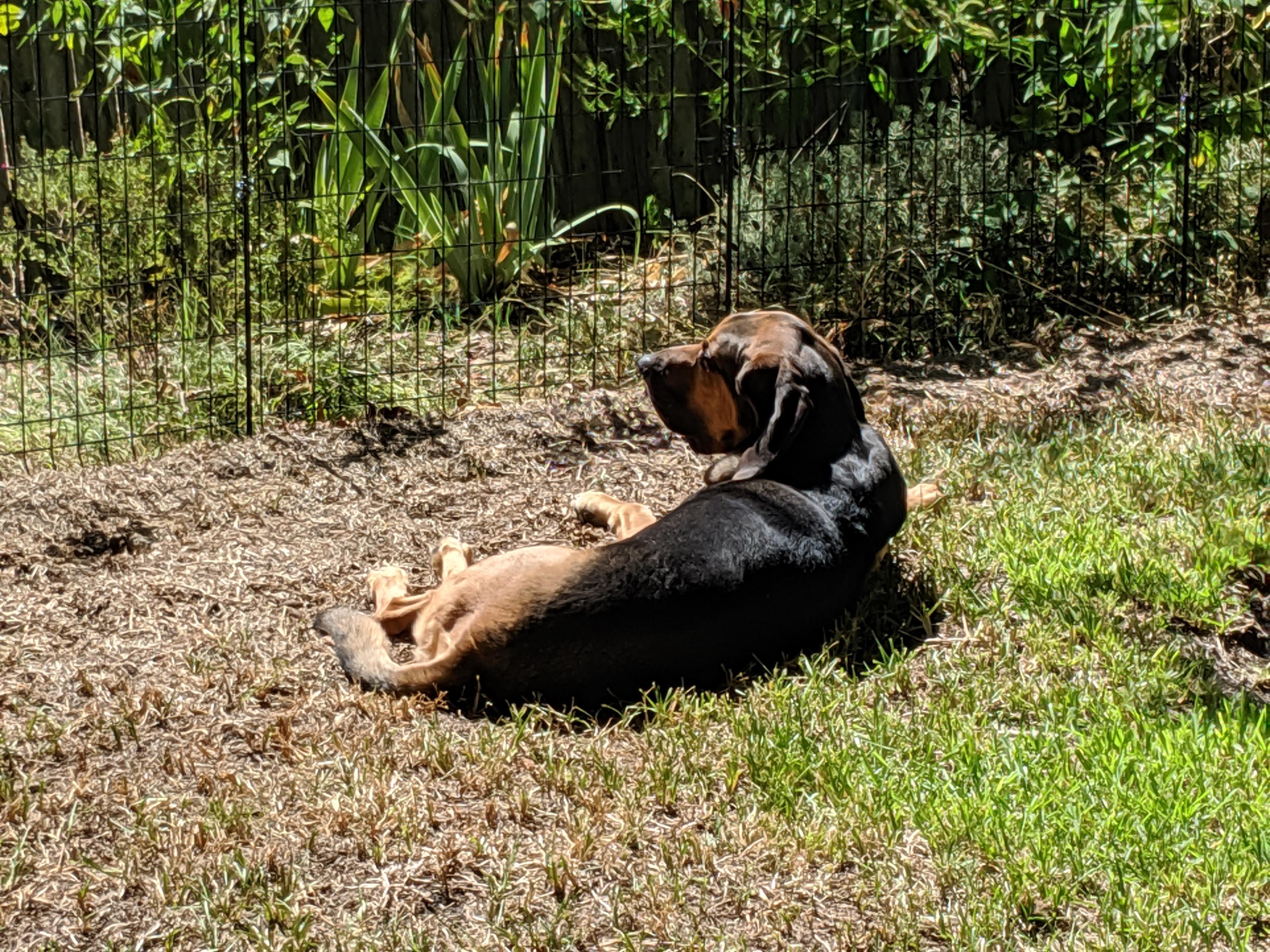 Maynard just watching the world turn | Scrolller