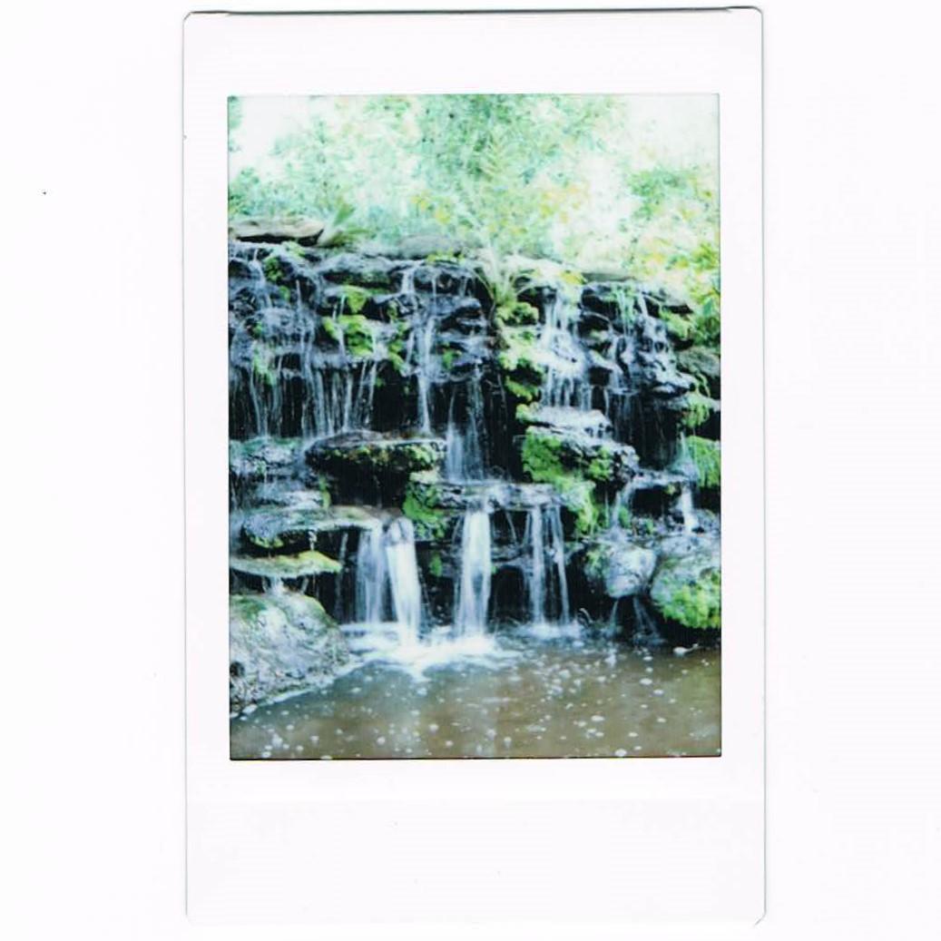 McKee Botanical Garden [Instax Mini 90] | Scrolller