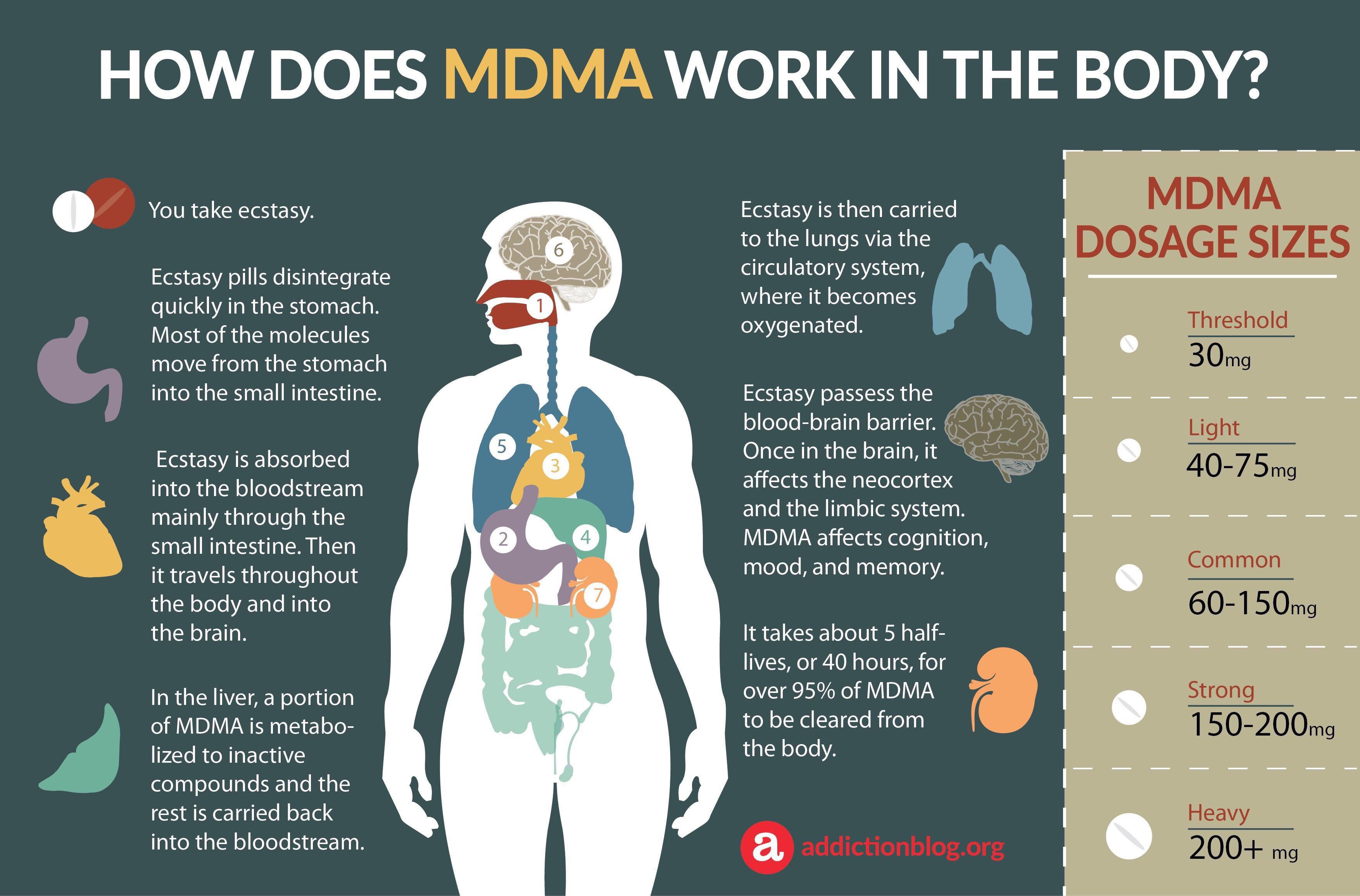 MDMA's Effects | Scrolller