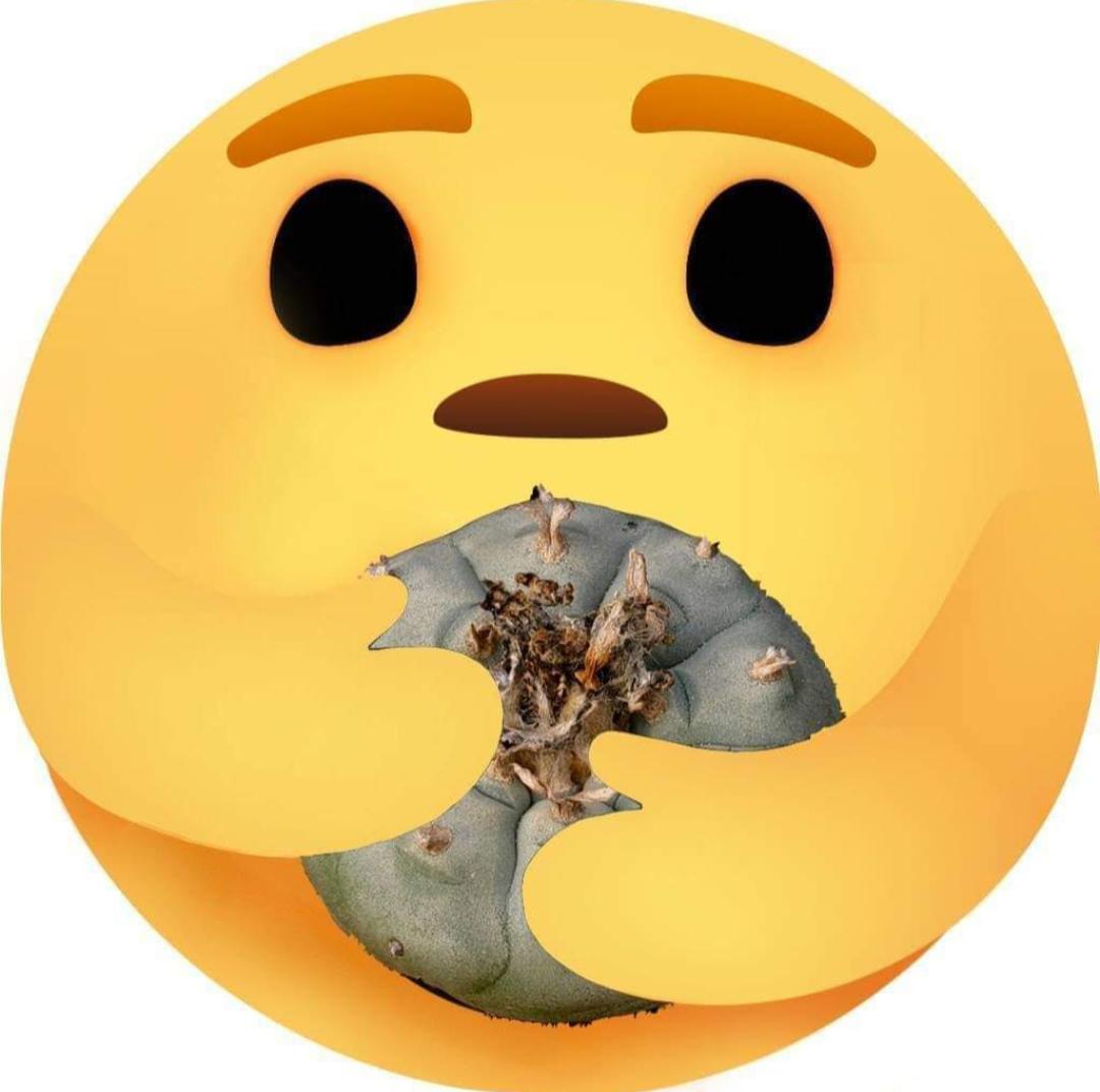 Me Scrolller 5373