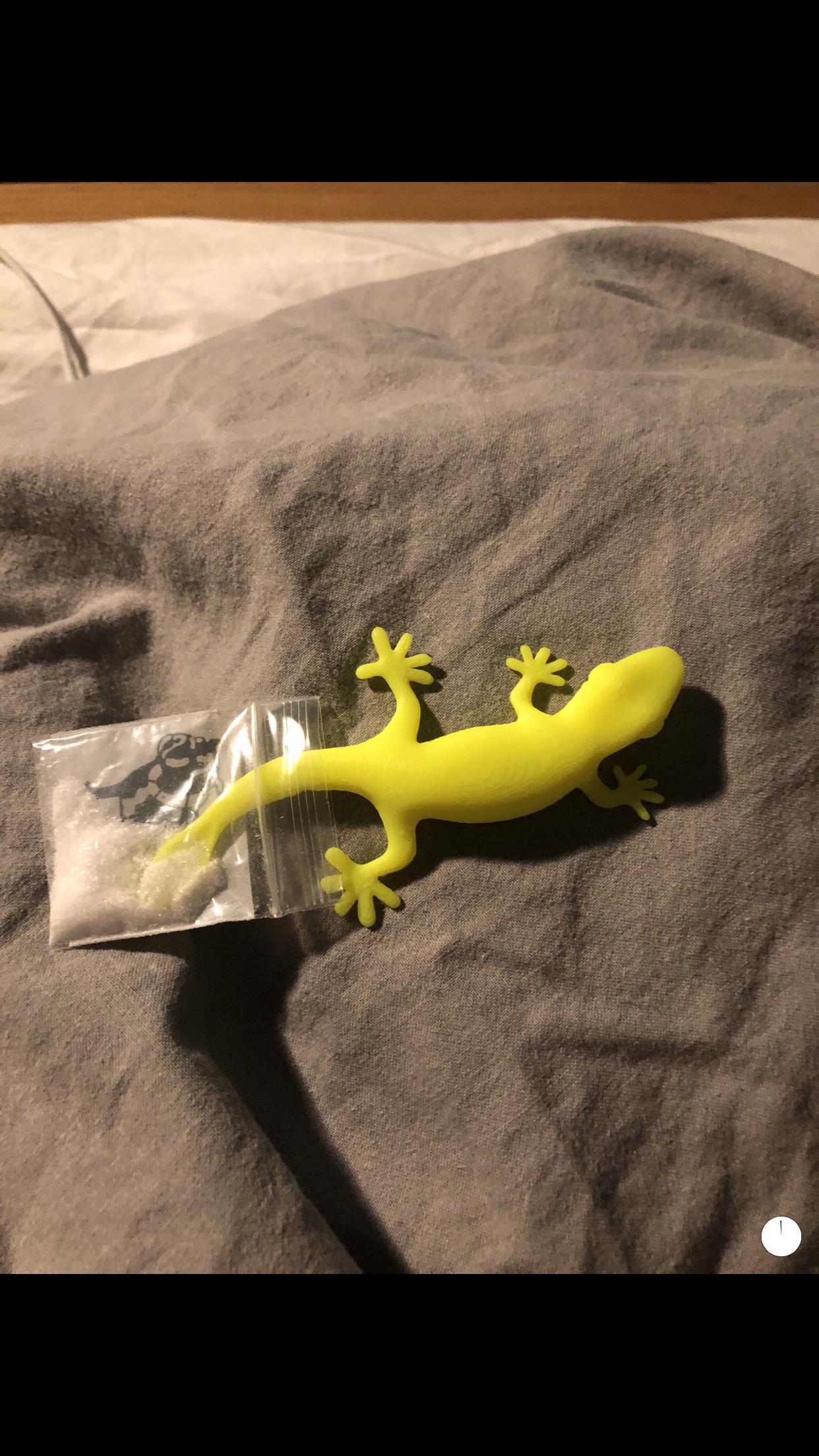 Me and my lizard chilling with the last of my 5gs | Scrolller