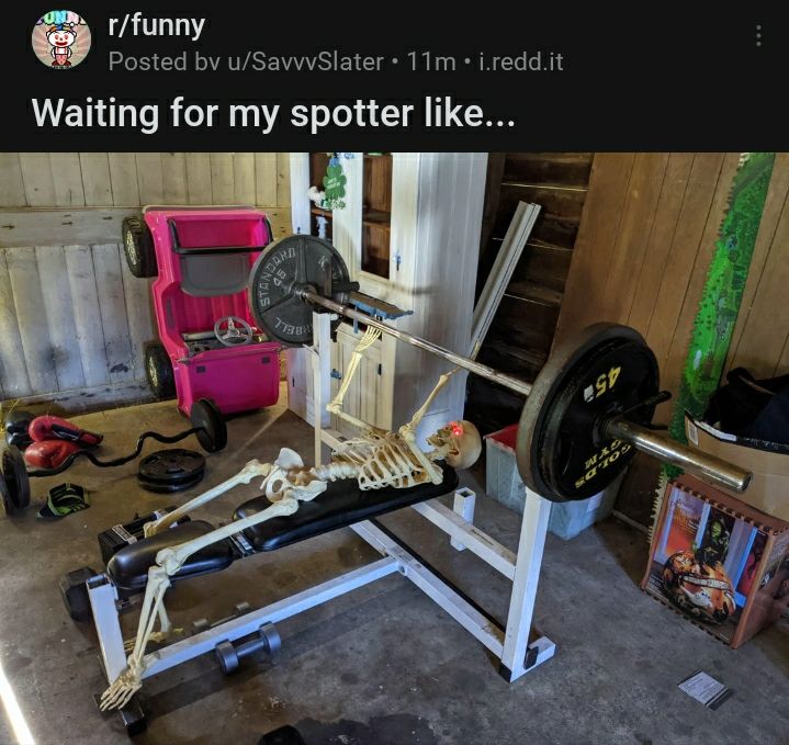 Me as a forklift driver | Scrolller