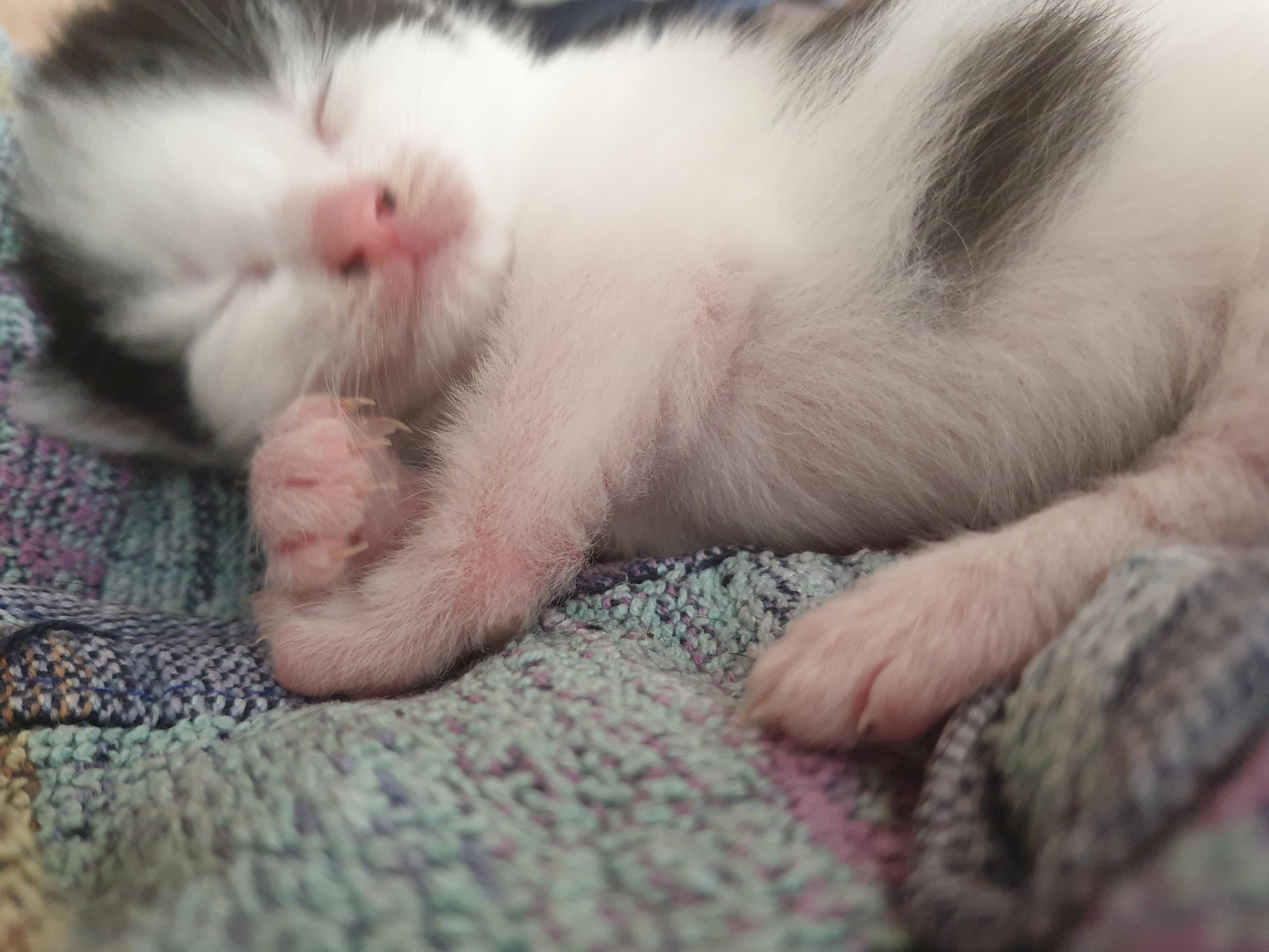 Me me sleeping pt 9 | Scrolller