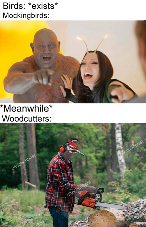 Meanwhile woodf- | Scrolller