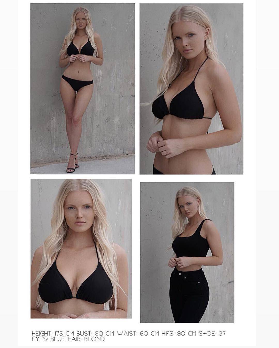 Measurements | Scrolller