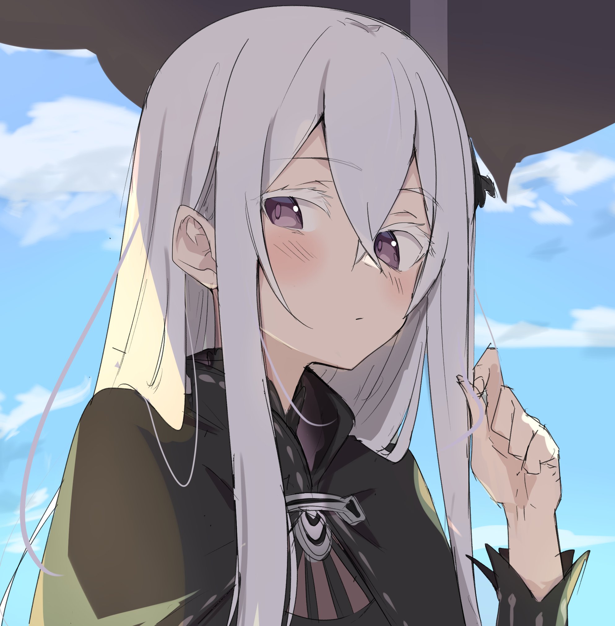 [media] Adorable Echidna | Scrolller