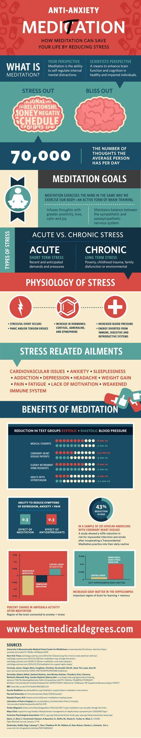Meditation in a nutshell | Scrolller