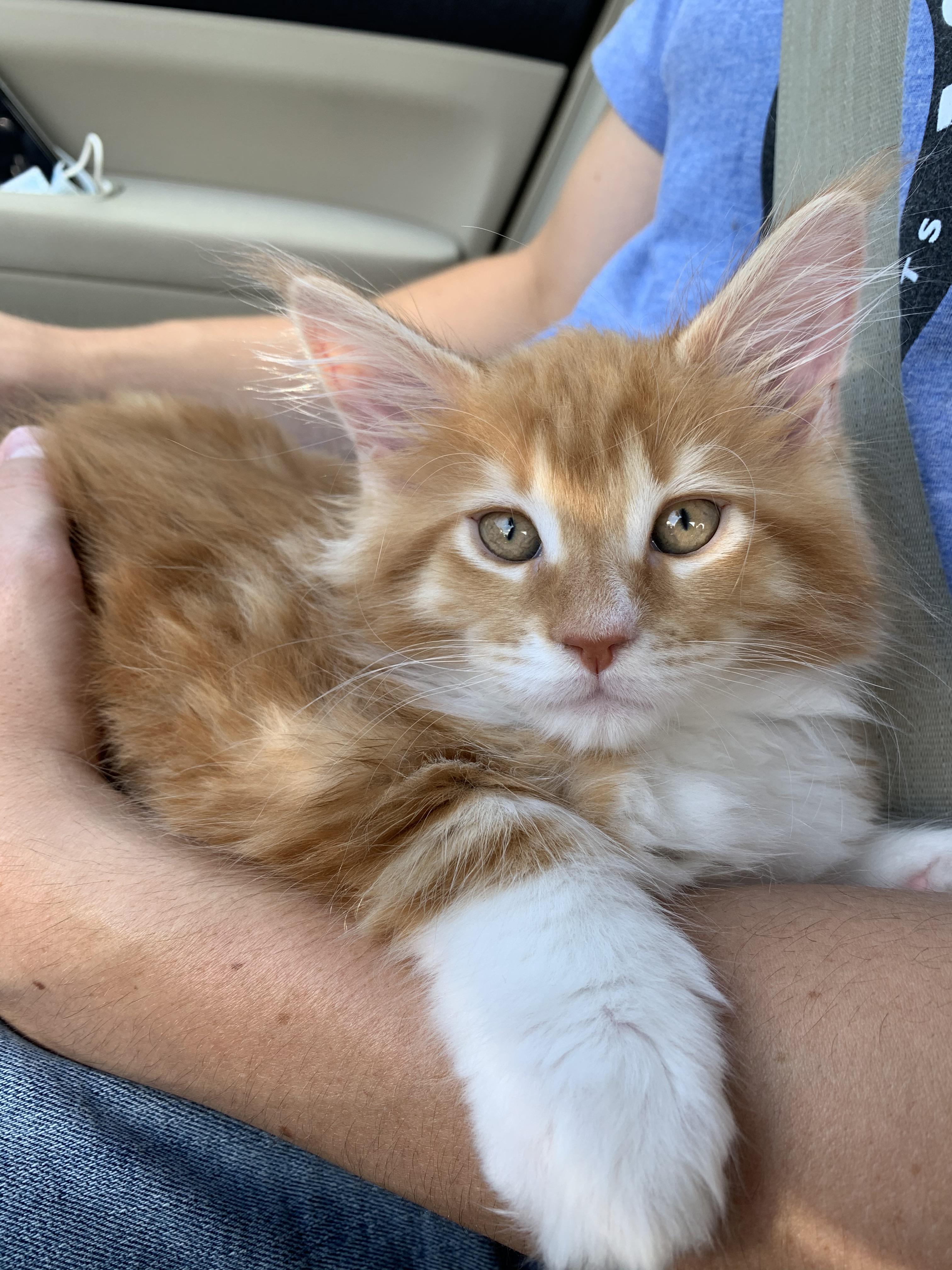 Meet Baby Echo!!!! | Scrolller