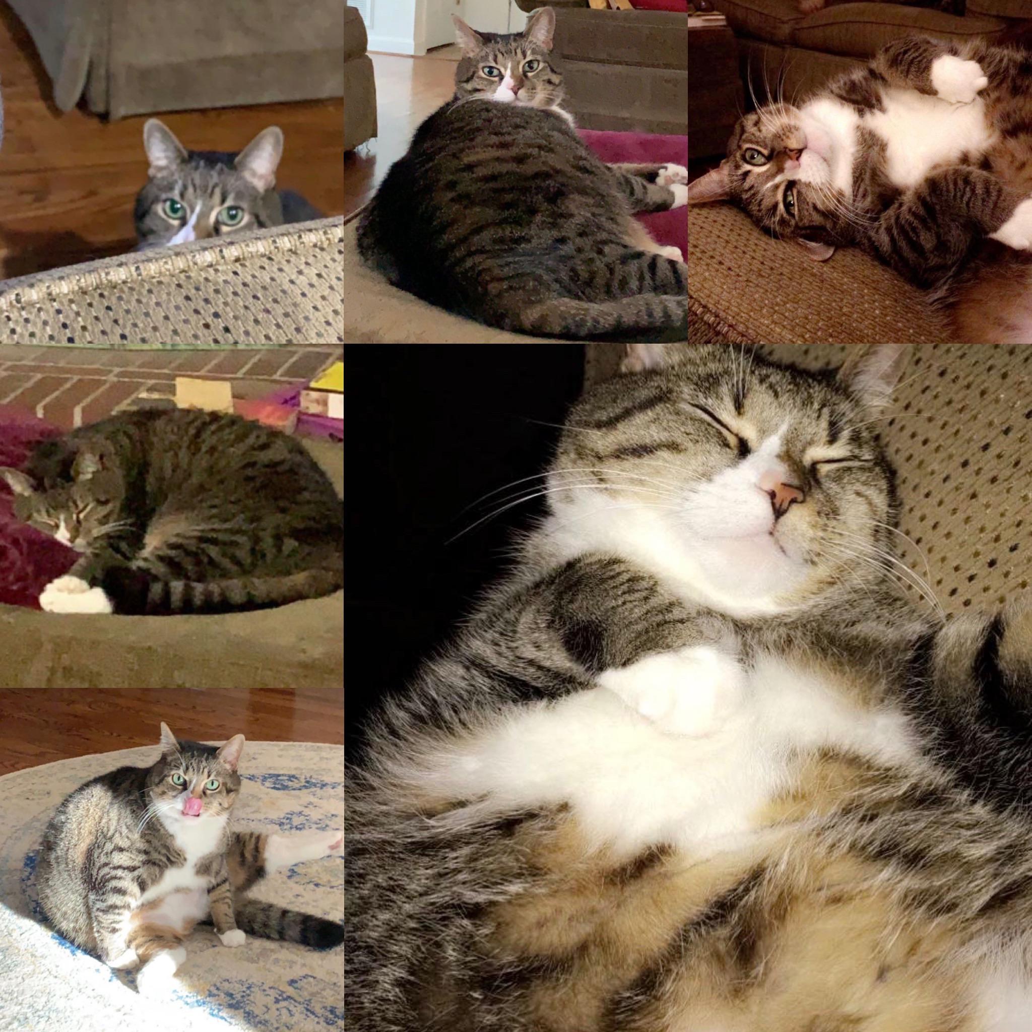 Meet Blue. | Scrolller