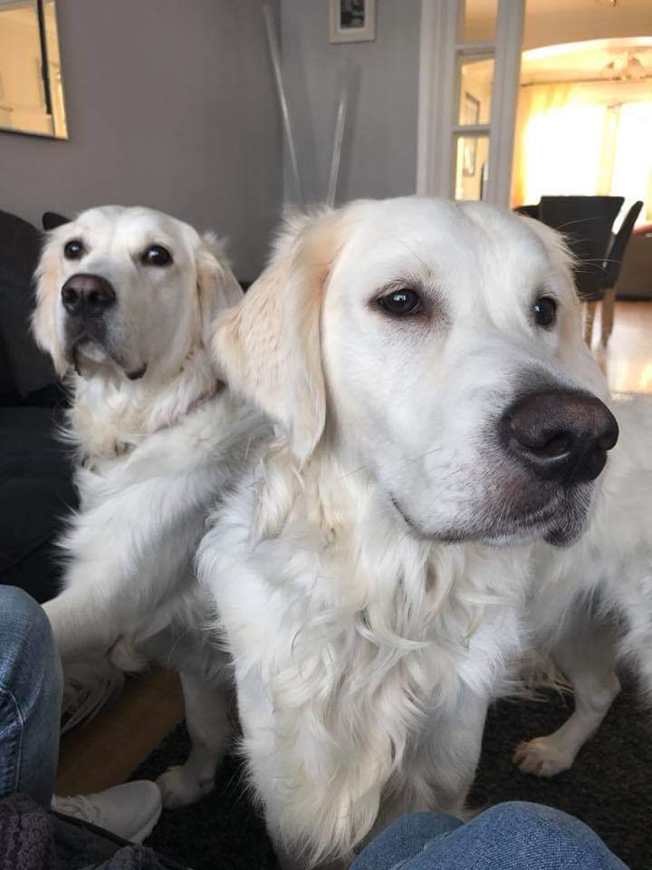 Meet Cooper & Finley, my absolute world | Scrolller