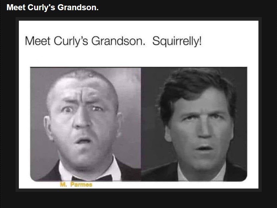 Meet Curly's Grandson. Squirrelly! | Scrolller