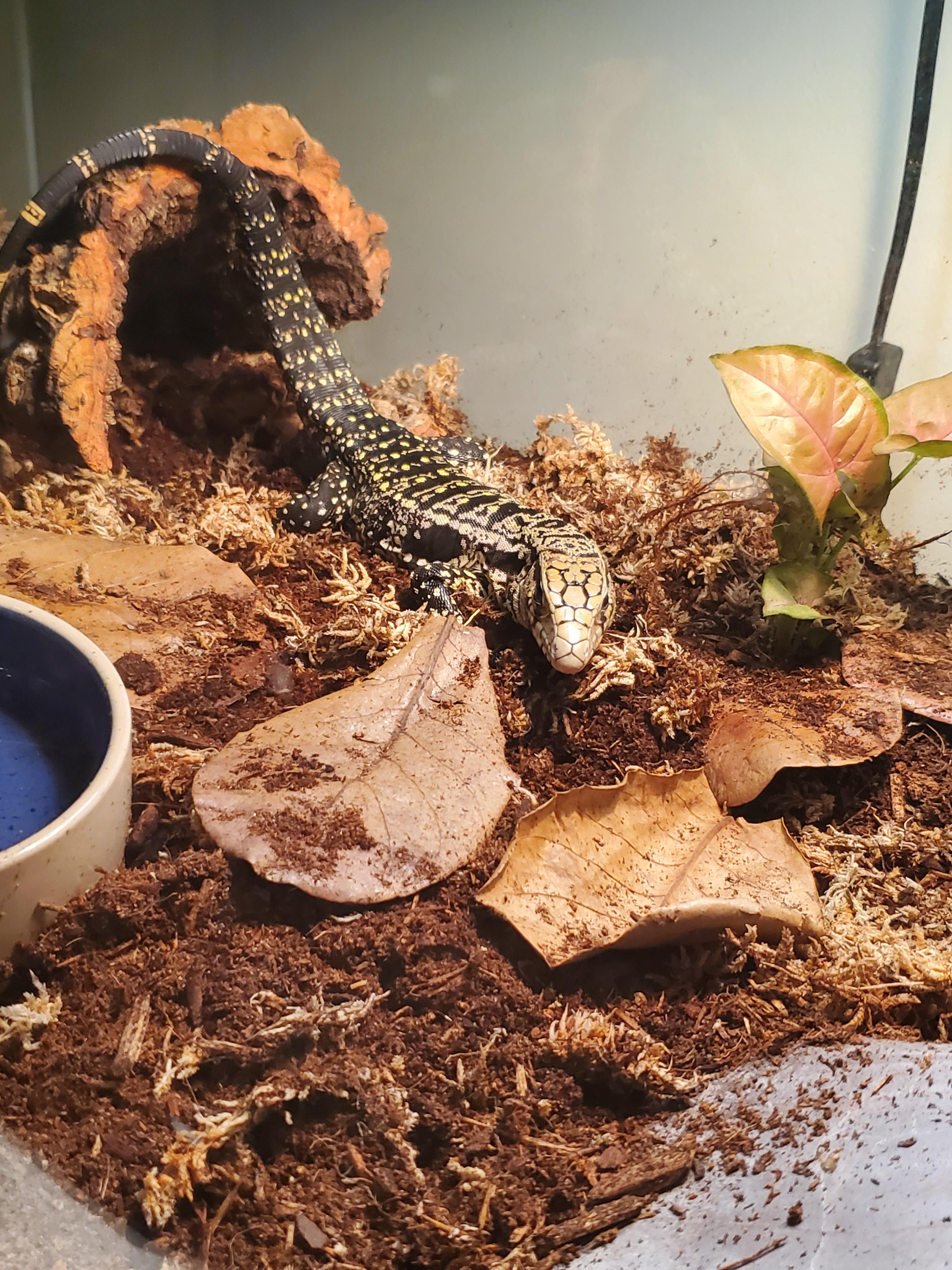 Meet Fluffy Cuddlepants! | Scrolller