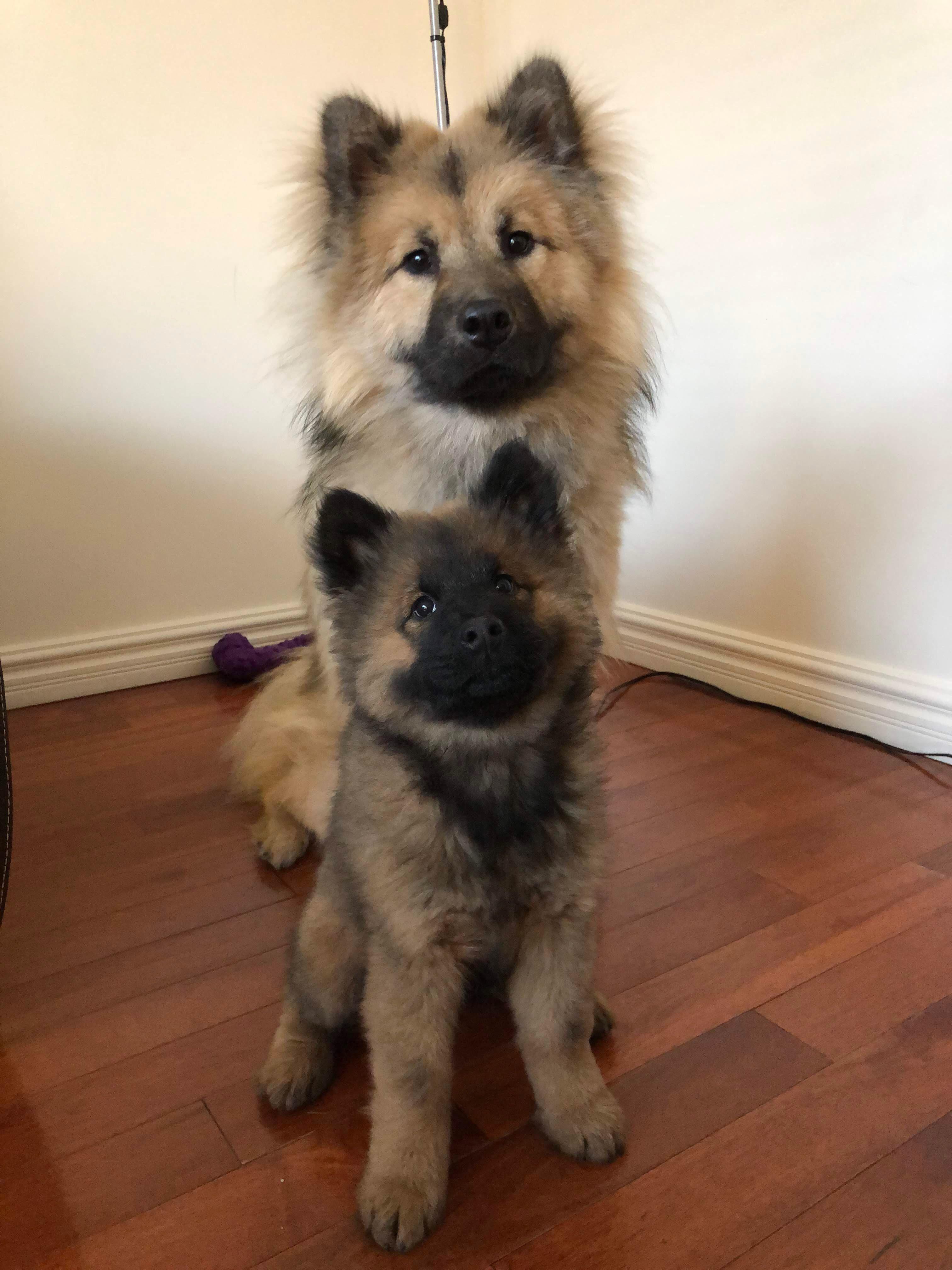 Meet Jack and Jessie | Scrolller