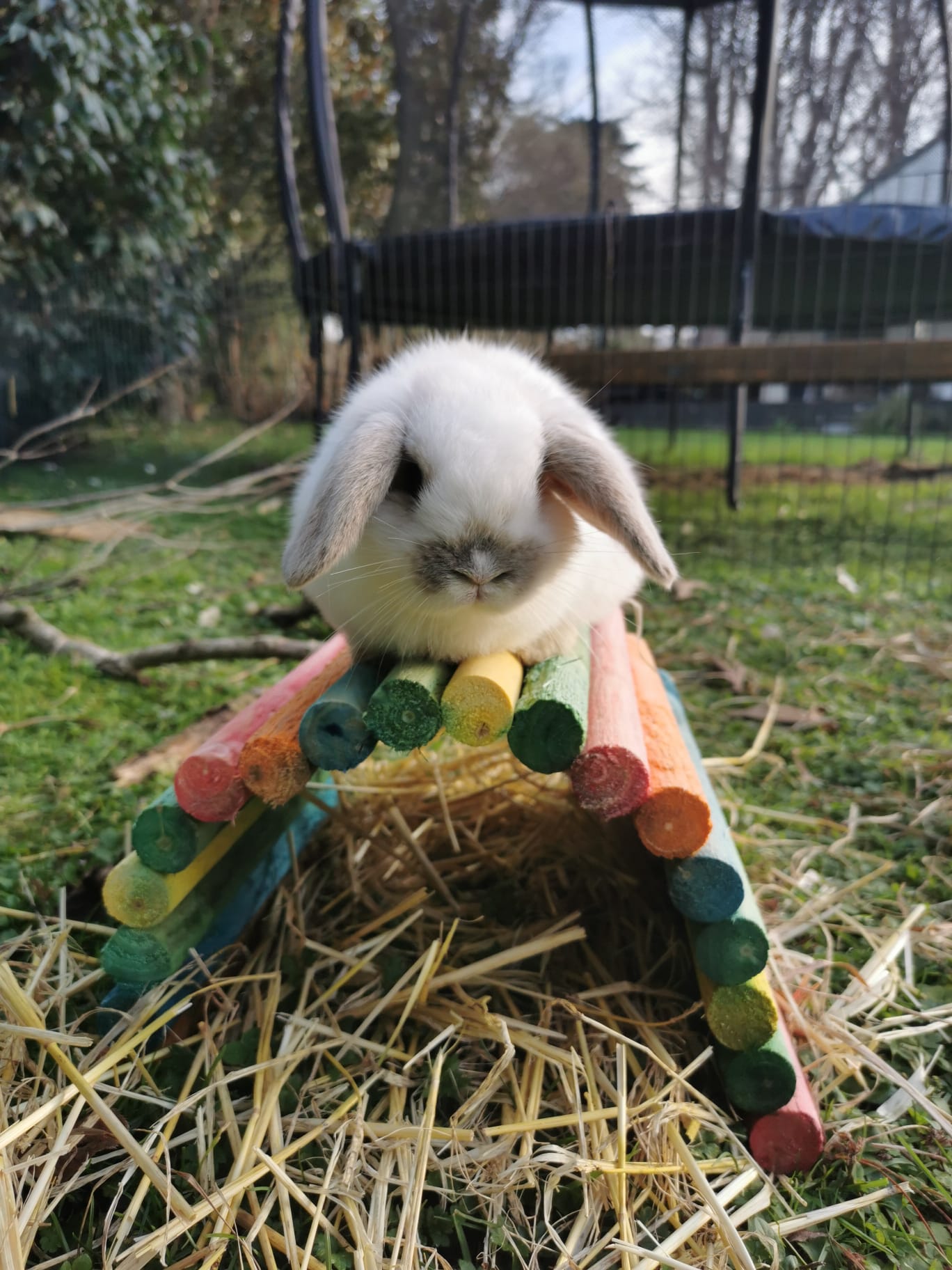 Meet Jeff 😍 | Scrolller