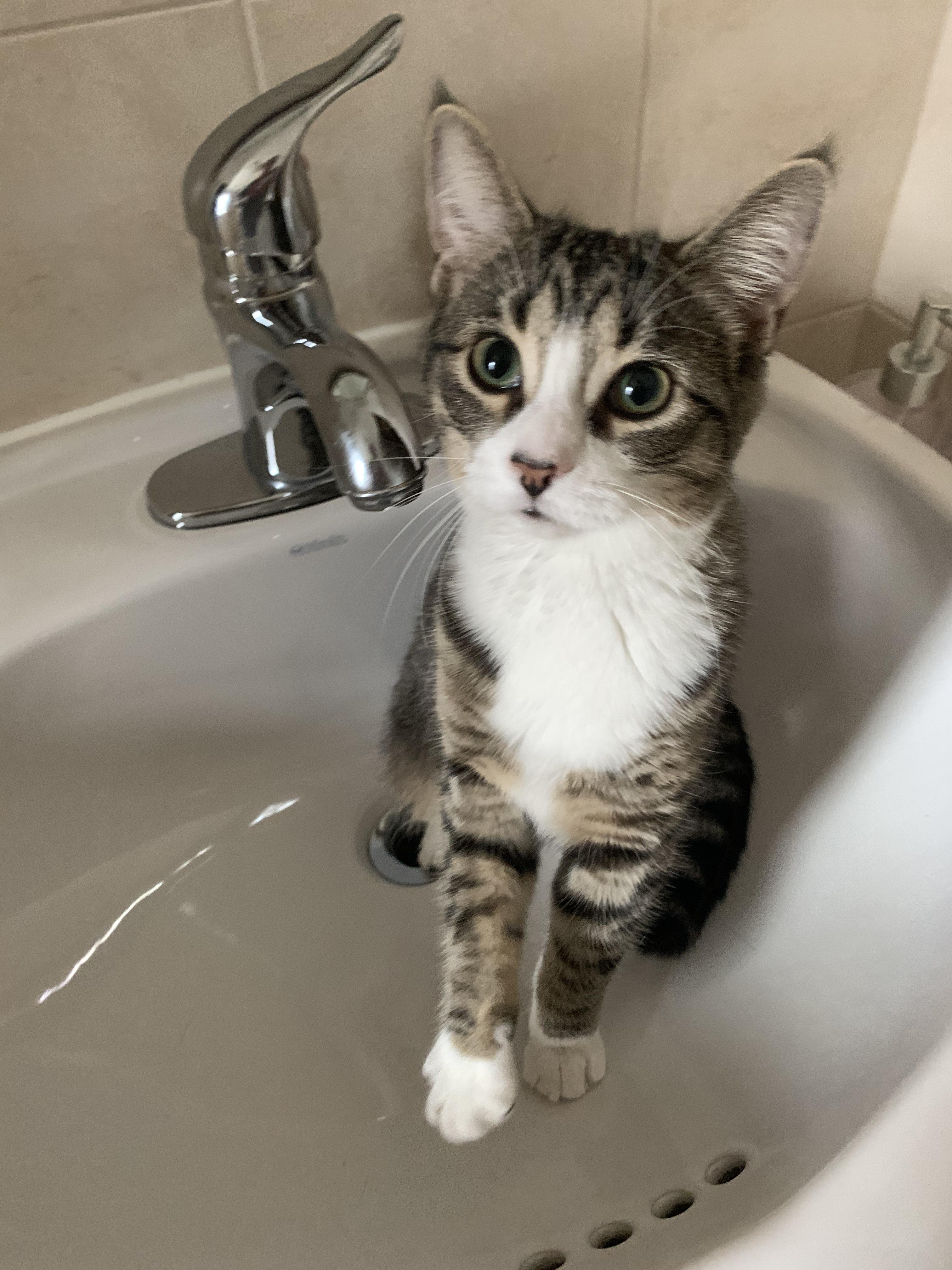 Meet Mimi. | Scrolller