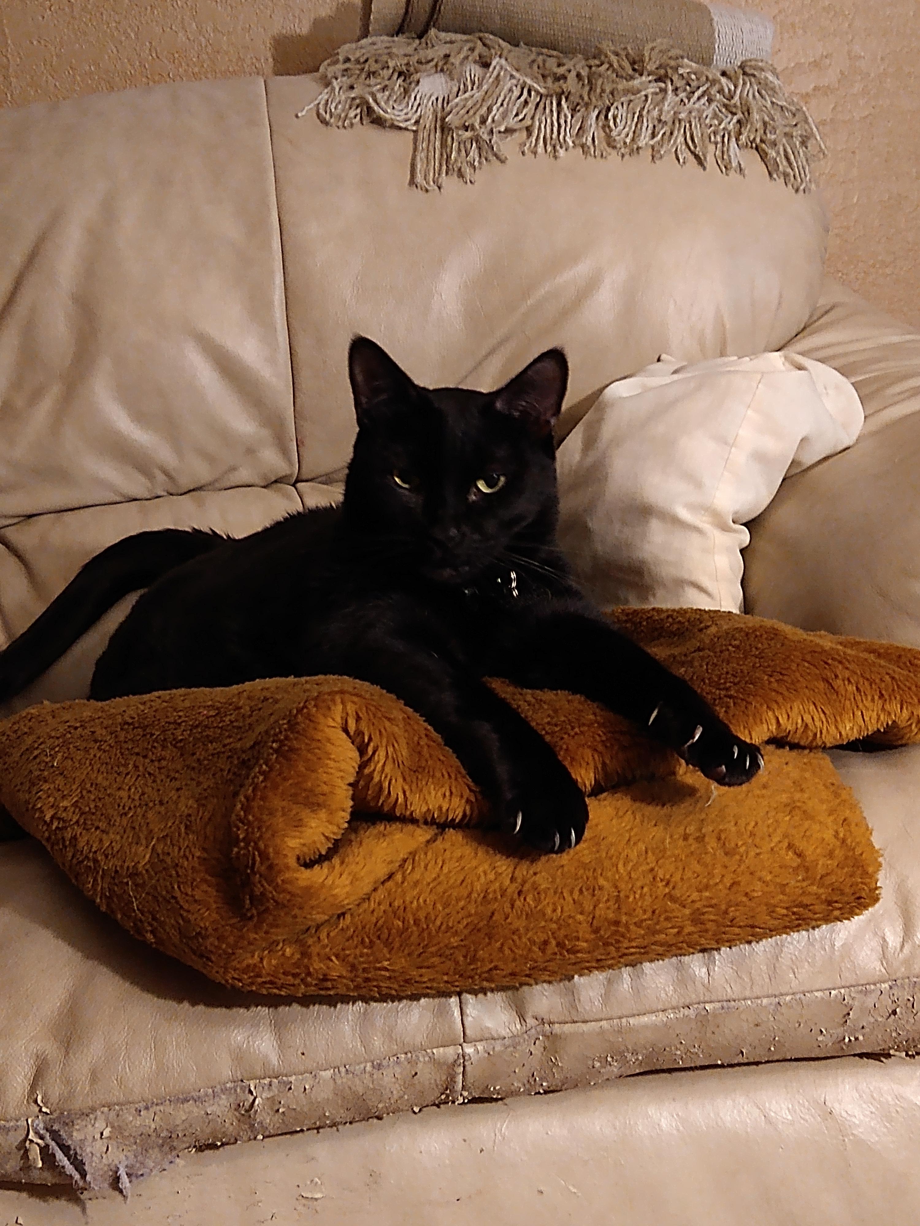 Meet Mr.Bills! | Scrolller