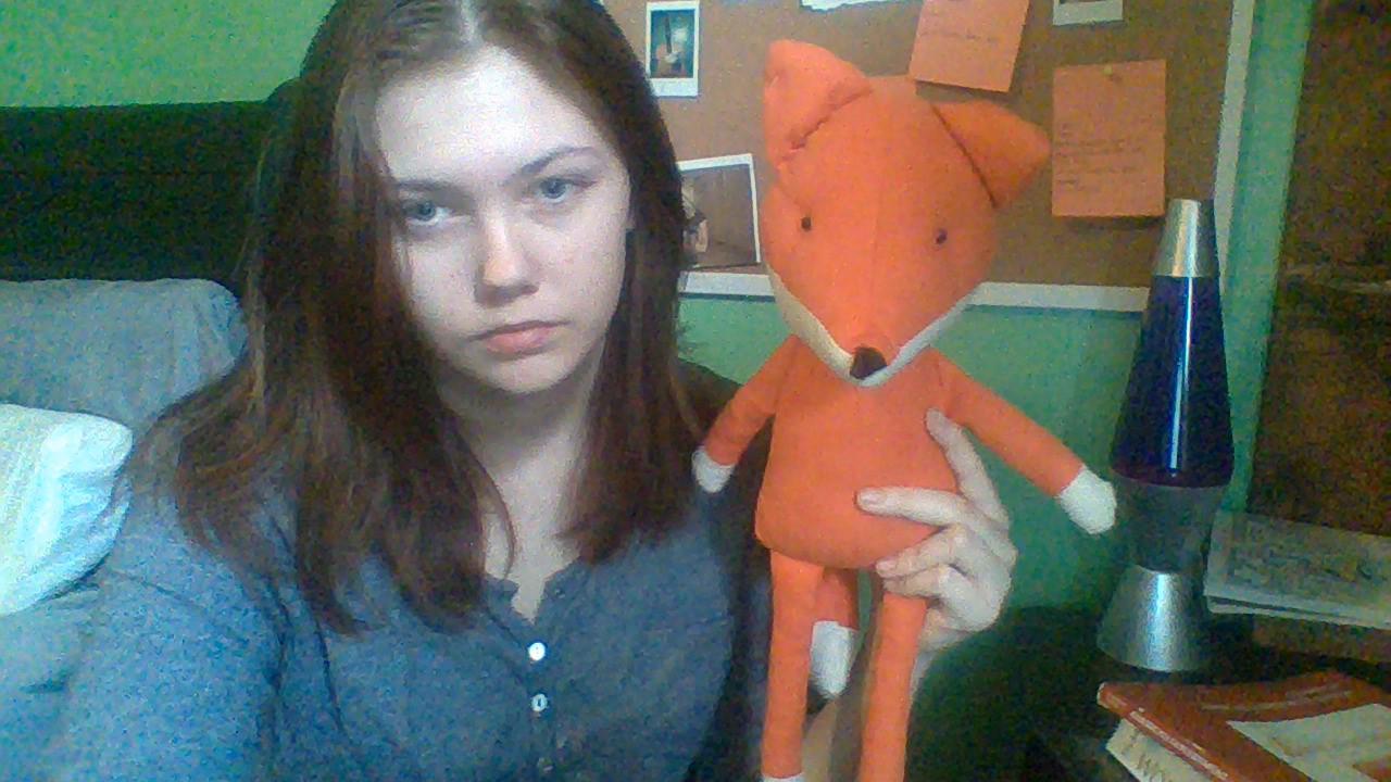 Meet Mr Fox | Scrolller