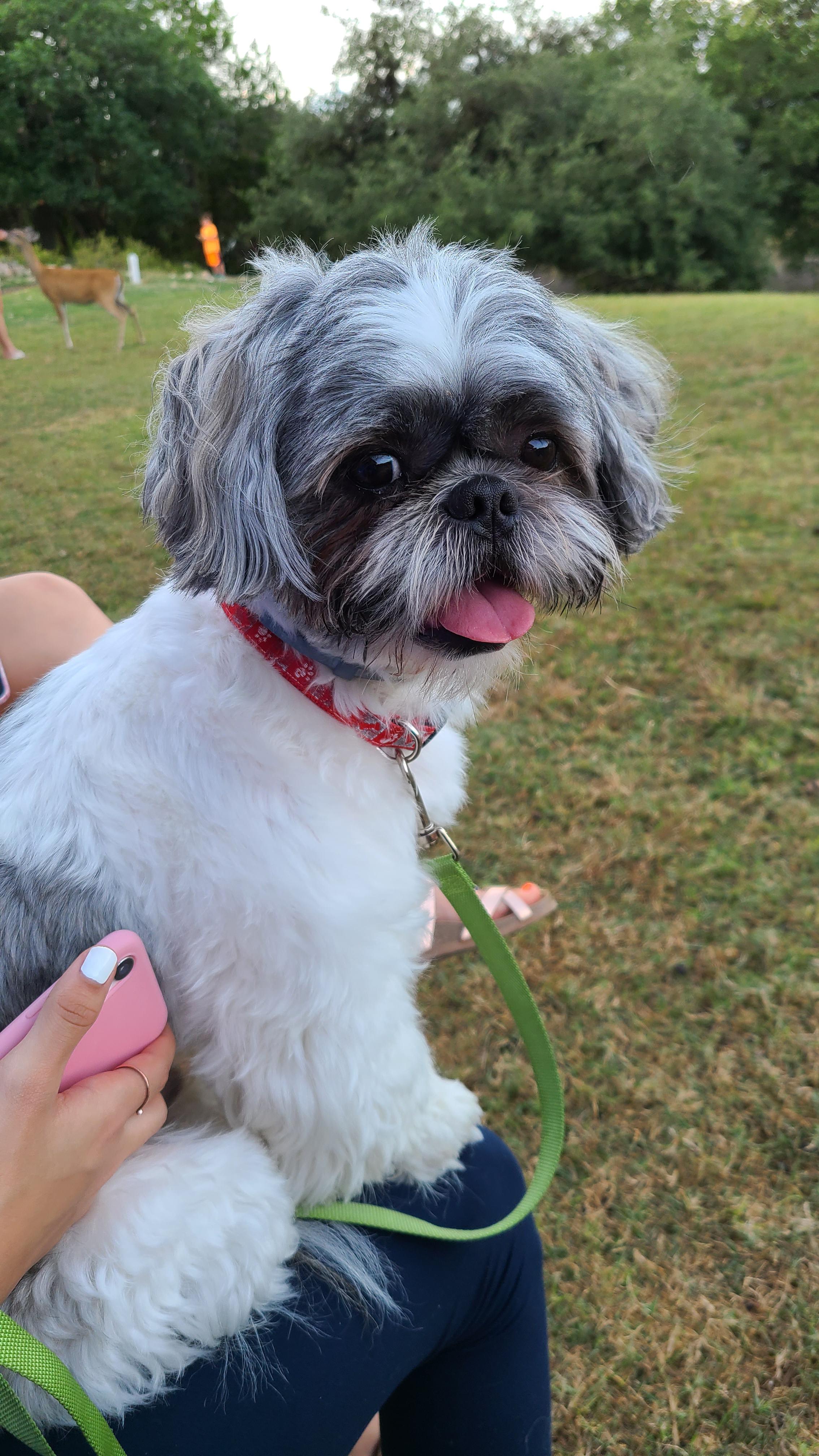 Meet Murphy! | Scrolller