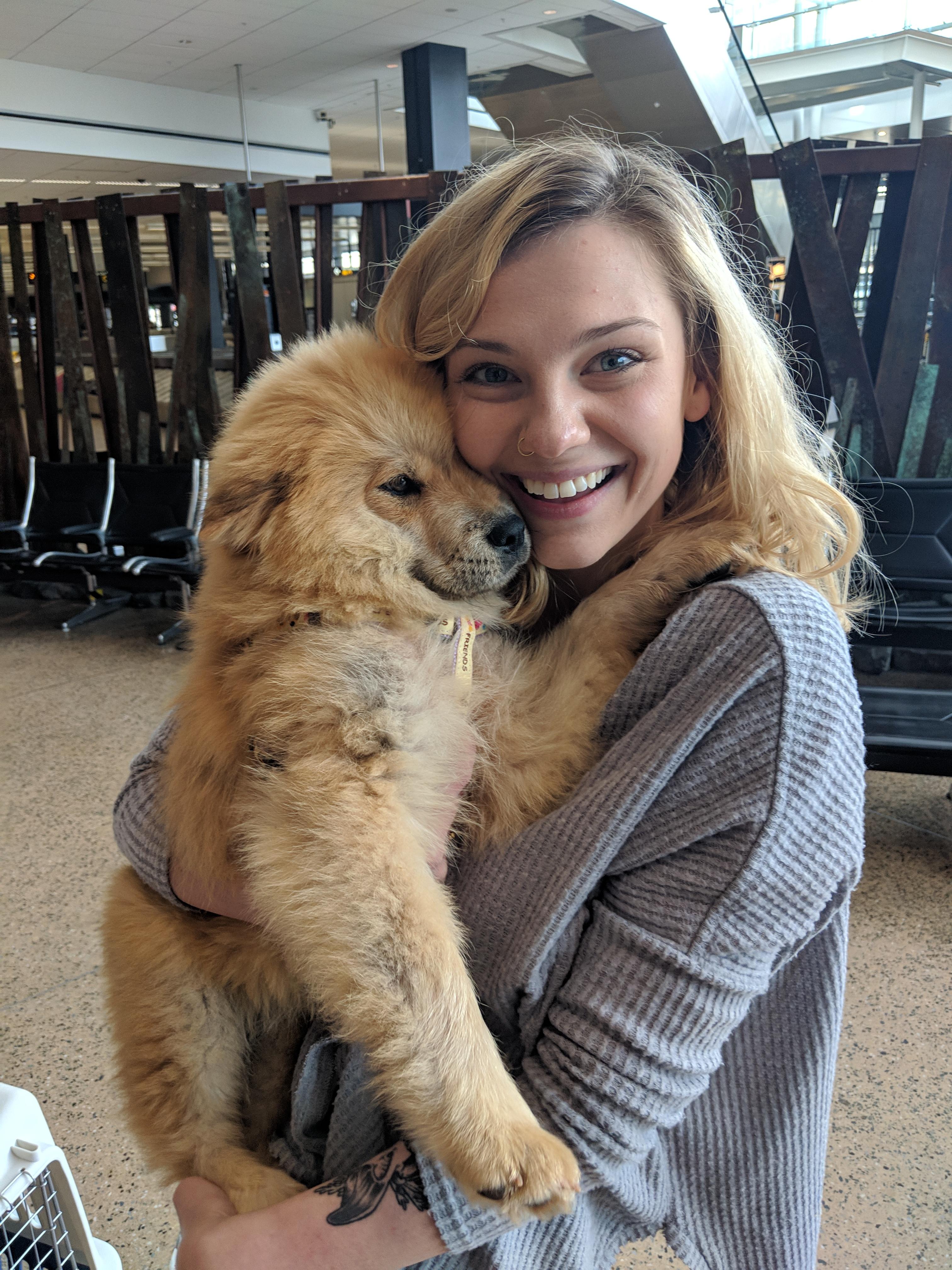 Meet my little chow, Kali | Scrolller