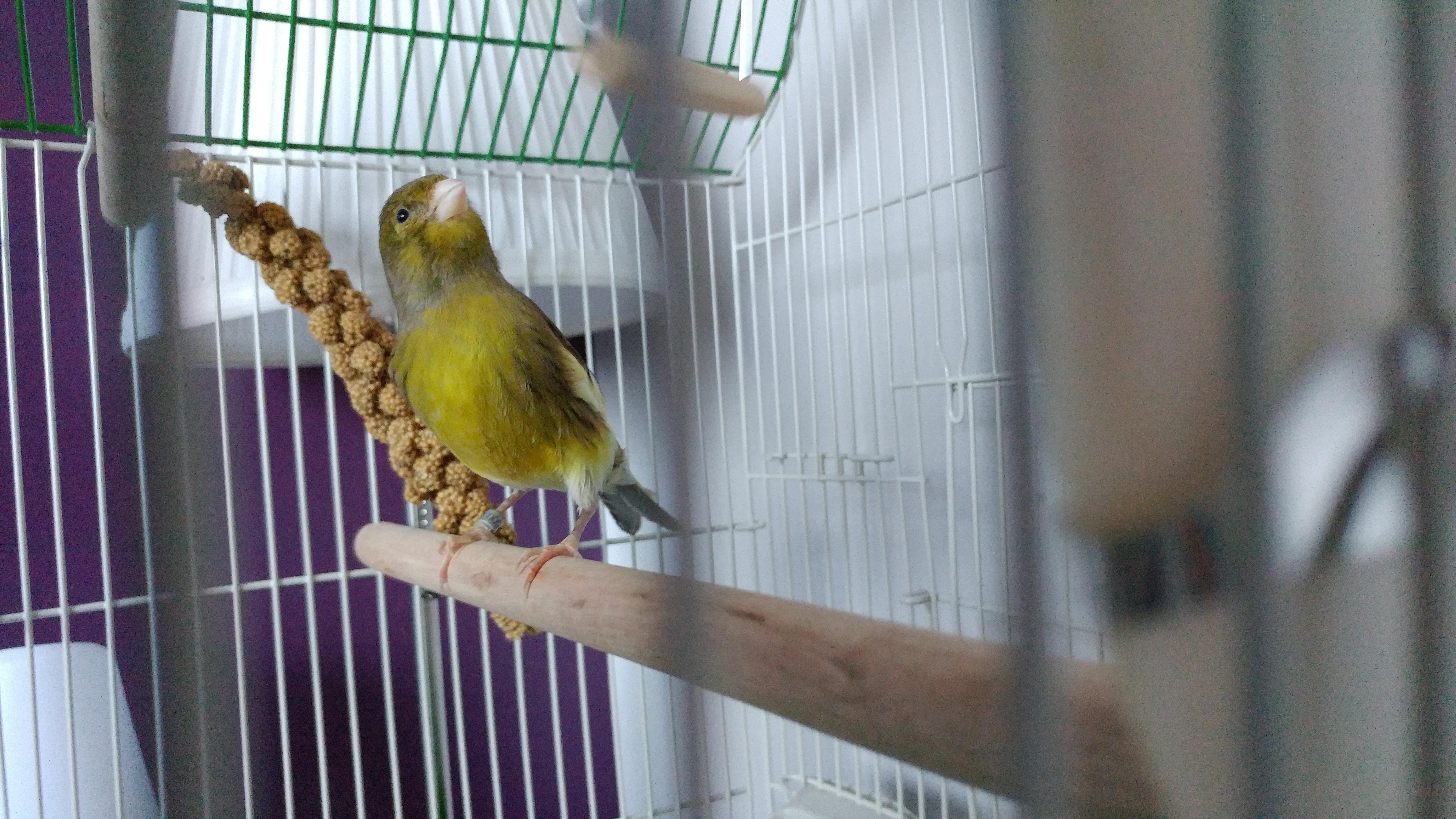 Meet my new buddy, Hank! | Scrolller