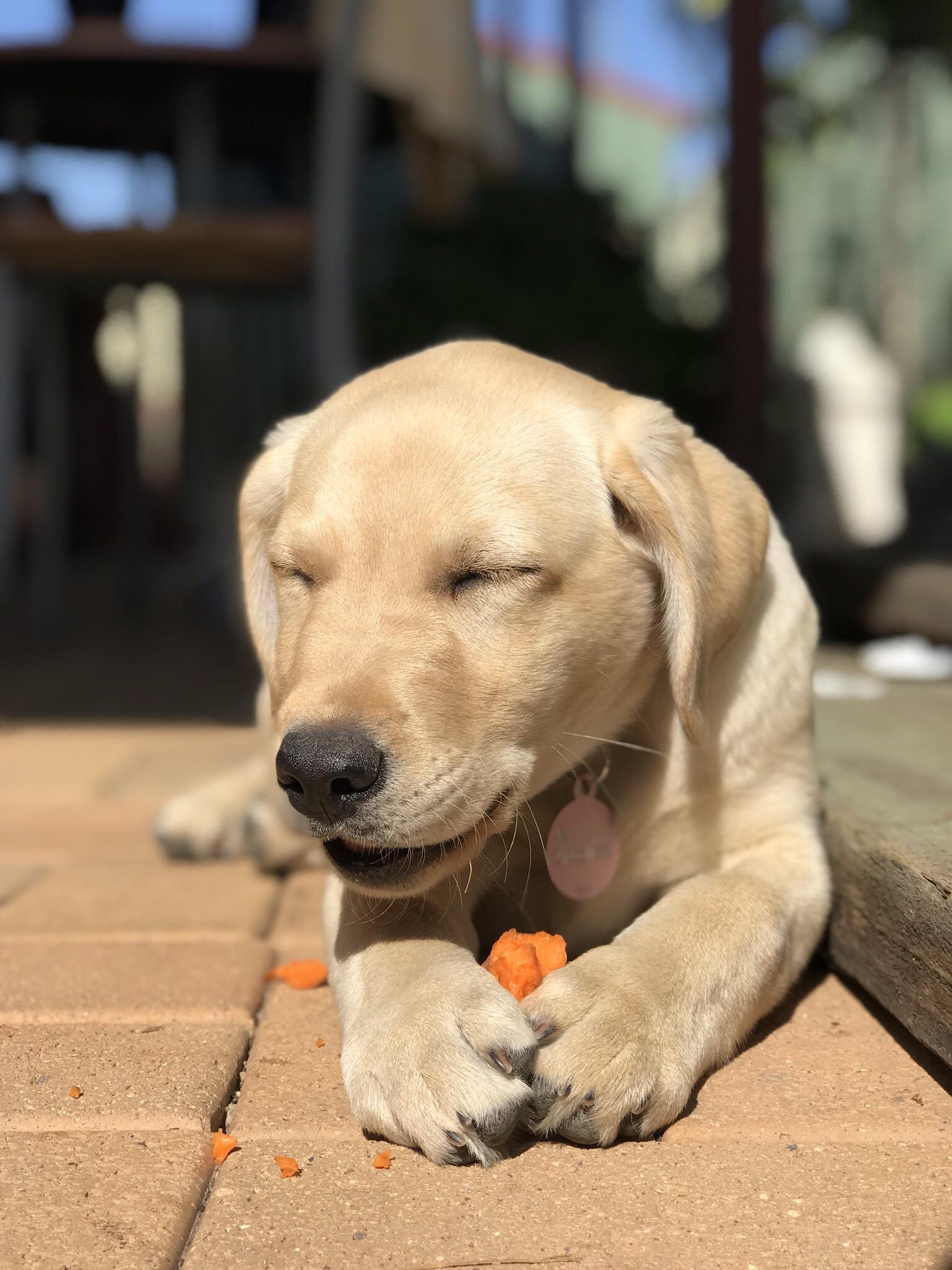 Meet Olive 🌱 | Scrolller