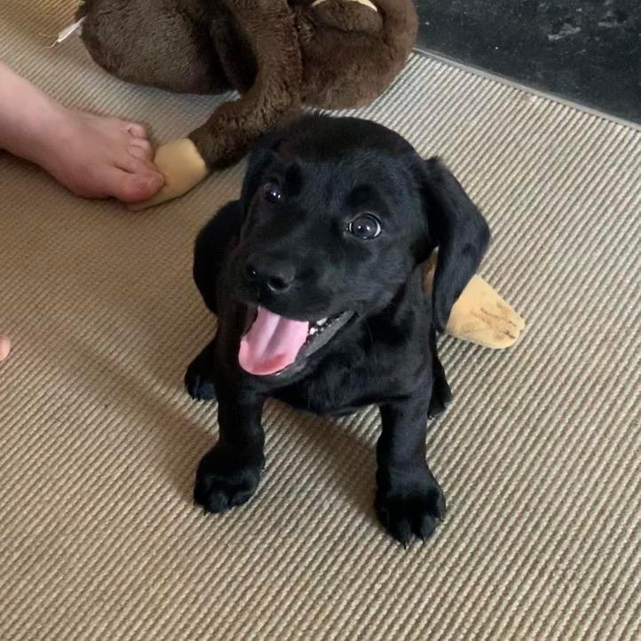 Meet our little Goose... we are so in love | Scrolller