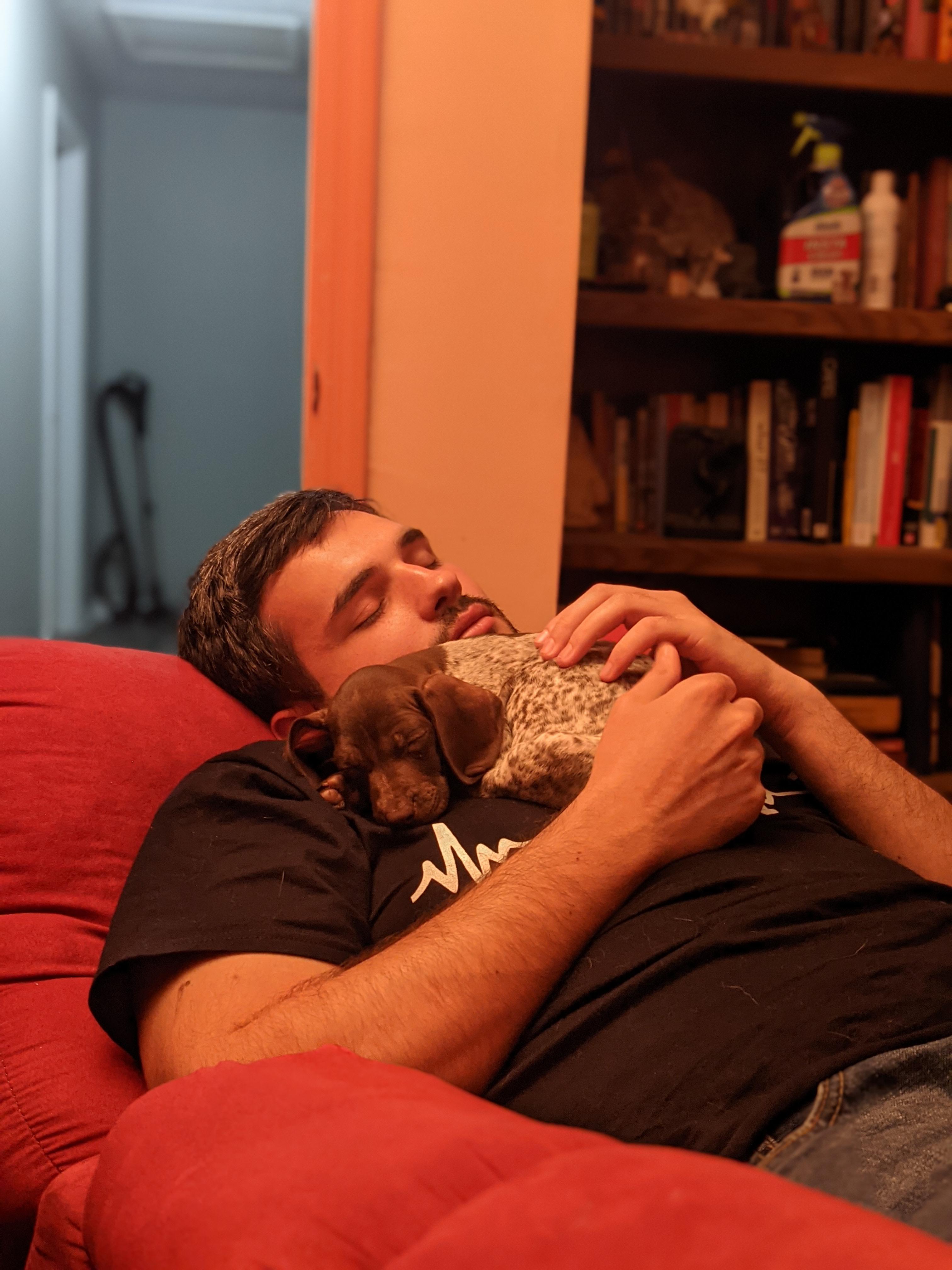Meet Our New Little Goober Chloe Scrolller