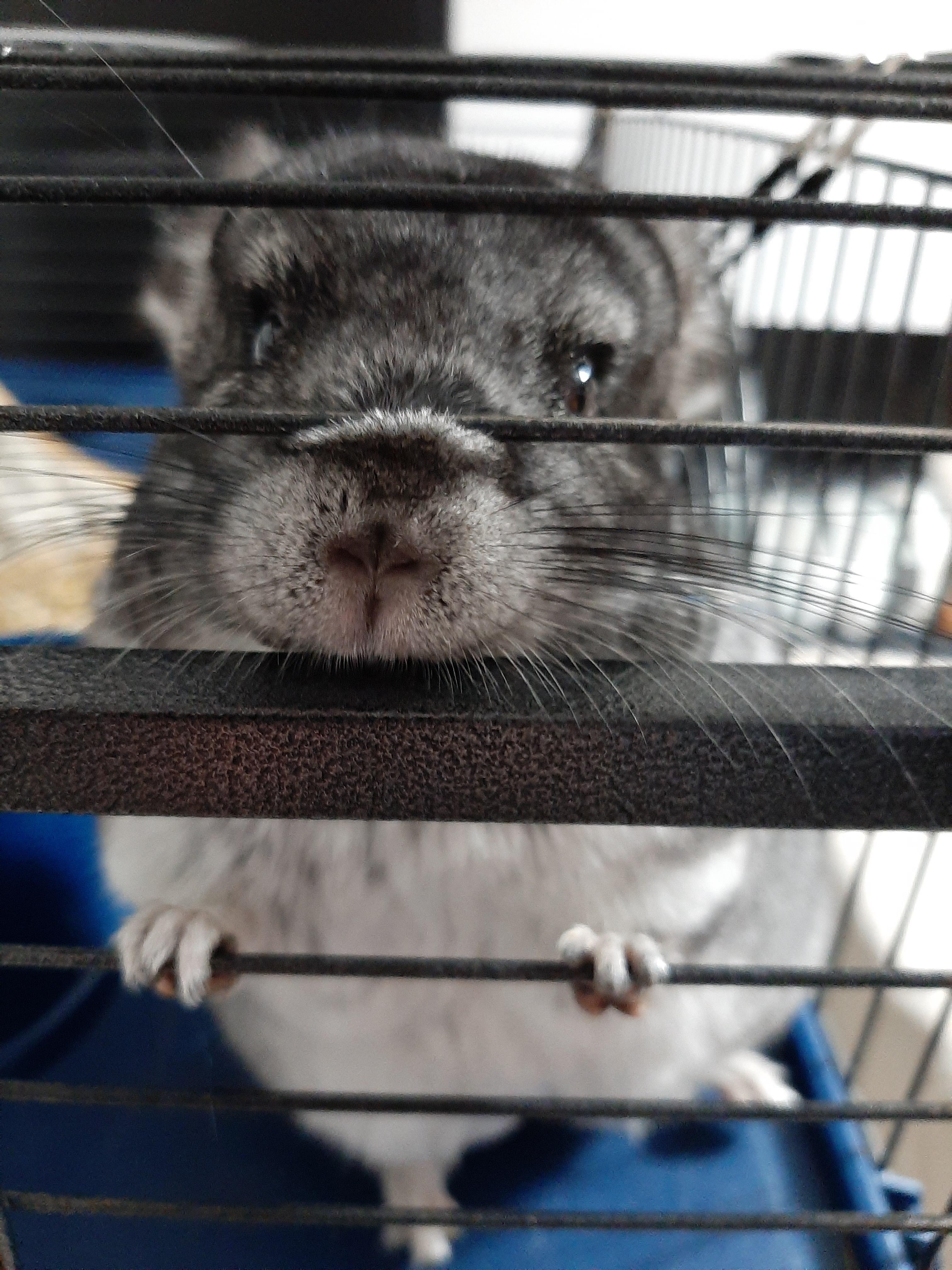 Meet Ronald | Scrolller