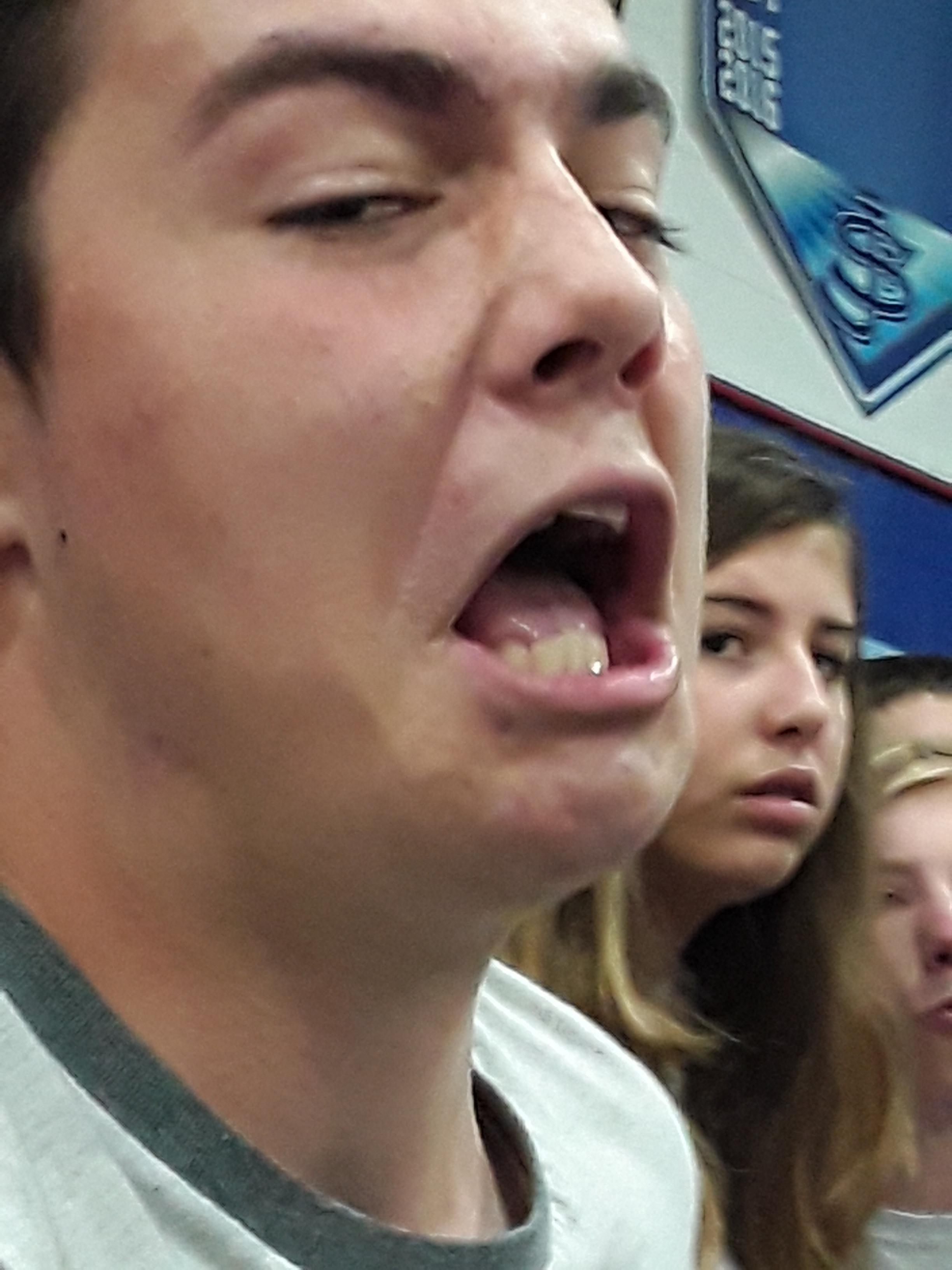 Meet talon. This is Talon. | Scrolller